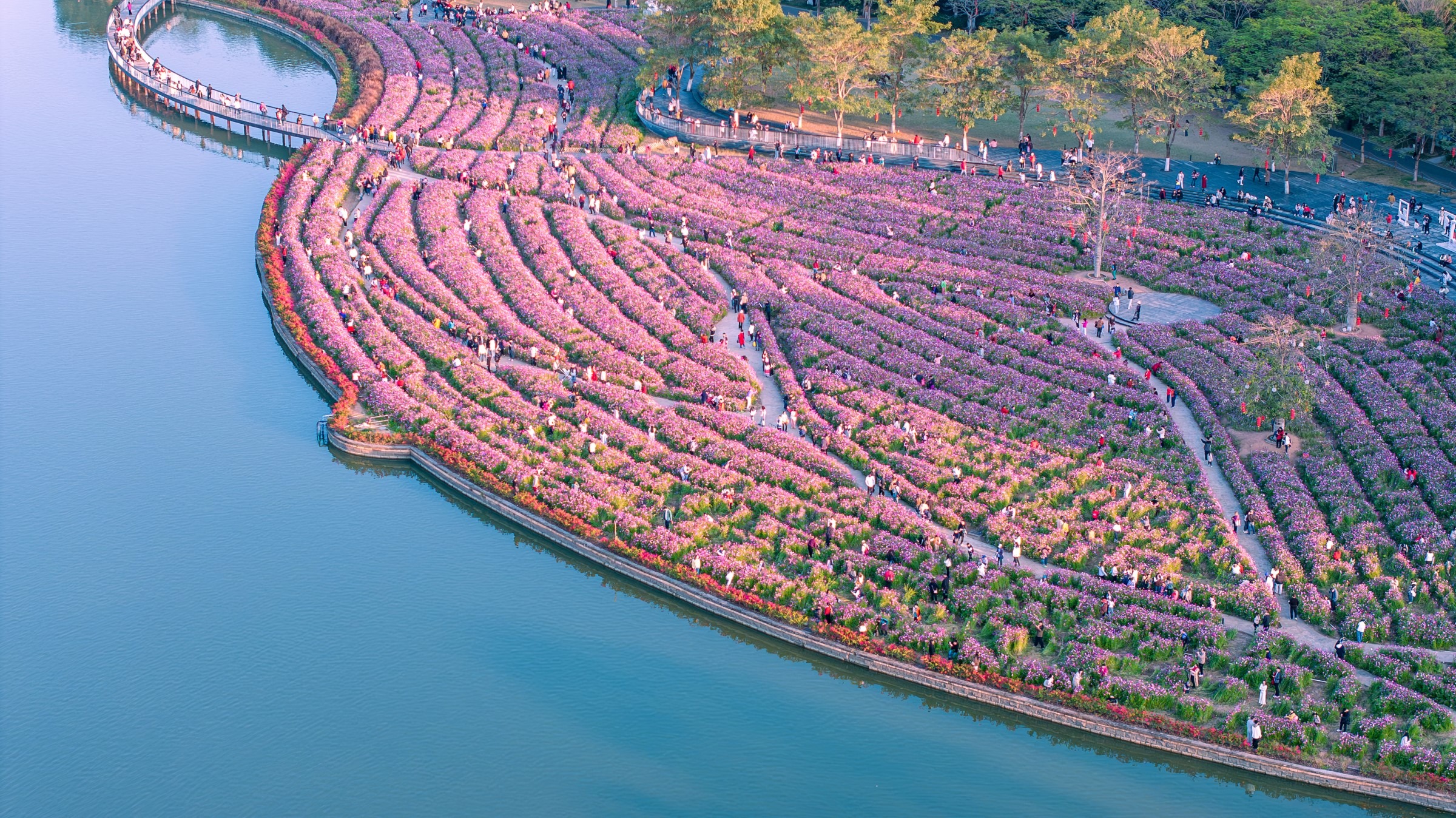 3 must-see flower viewing spots in Guangzhou! | Guangzhou | Greater Bay ...