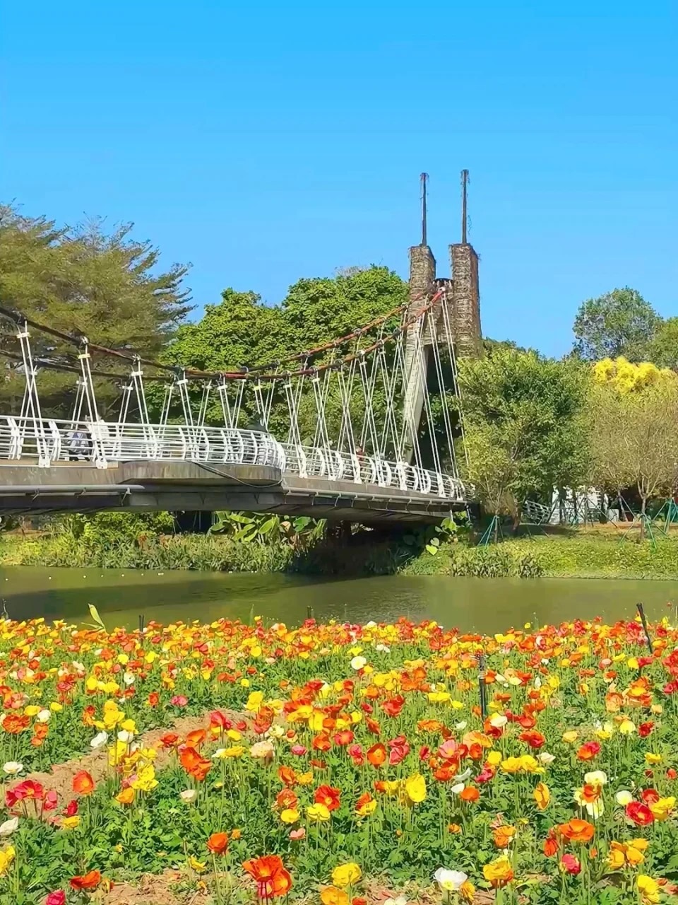 3 must-see flower viewing spots in Guangzhou! | Guangzhou | Greater Bay ...