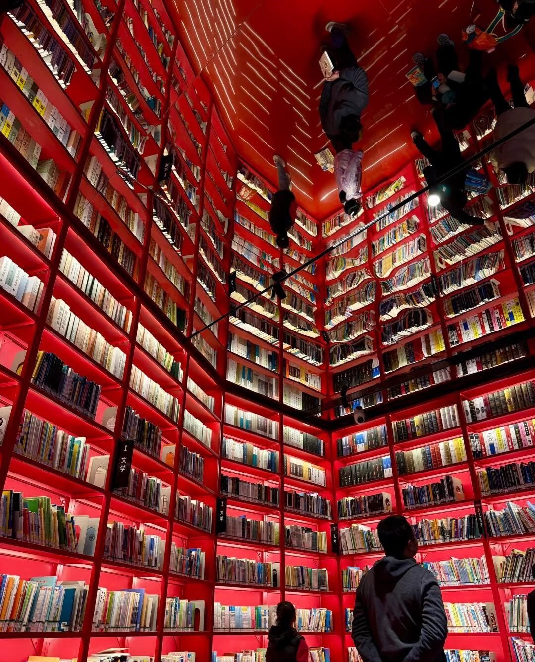 Explore Guangzhou's first Lighthouse Library! What makes it so unique ...