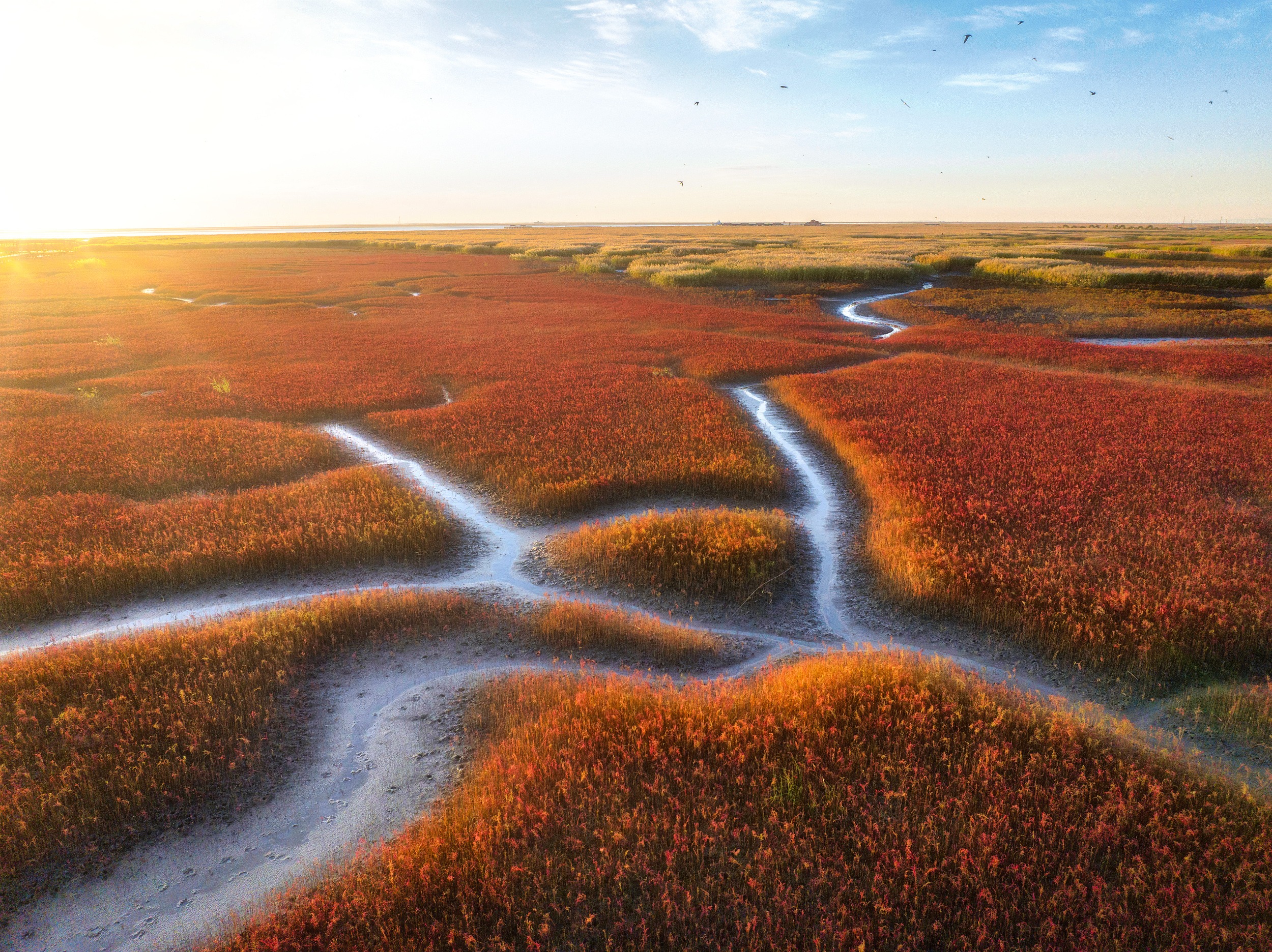 Liaoning Red Beach: A wondrous spectacle of nature | Snapshot of China ...