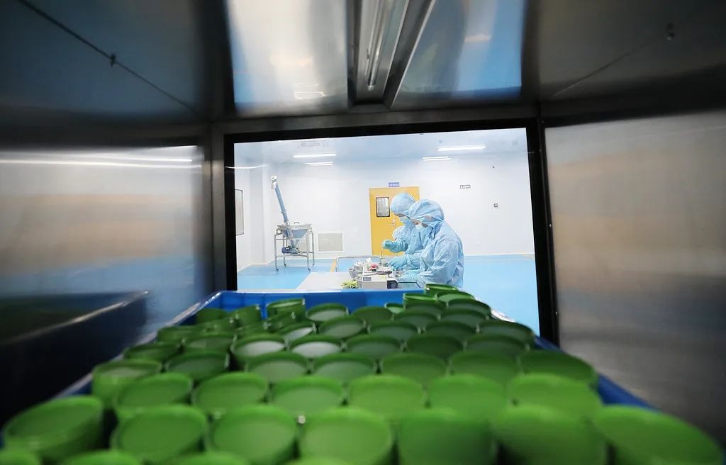 Japan matcha is made in China's Guizhou?｜China's new specialties ...