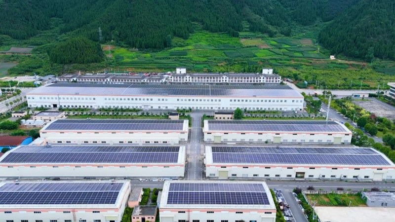 Japan matcha is made in China's Guizhou?｜China's new specialties ...