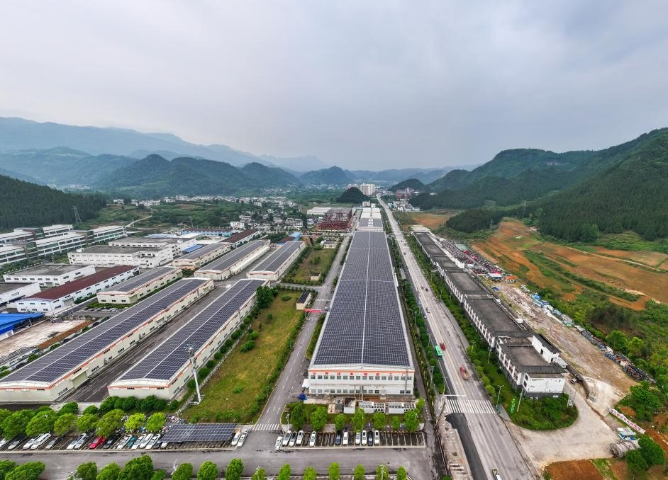 Japan matcha is made in China's Guizhou?｜China's new specialties ...