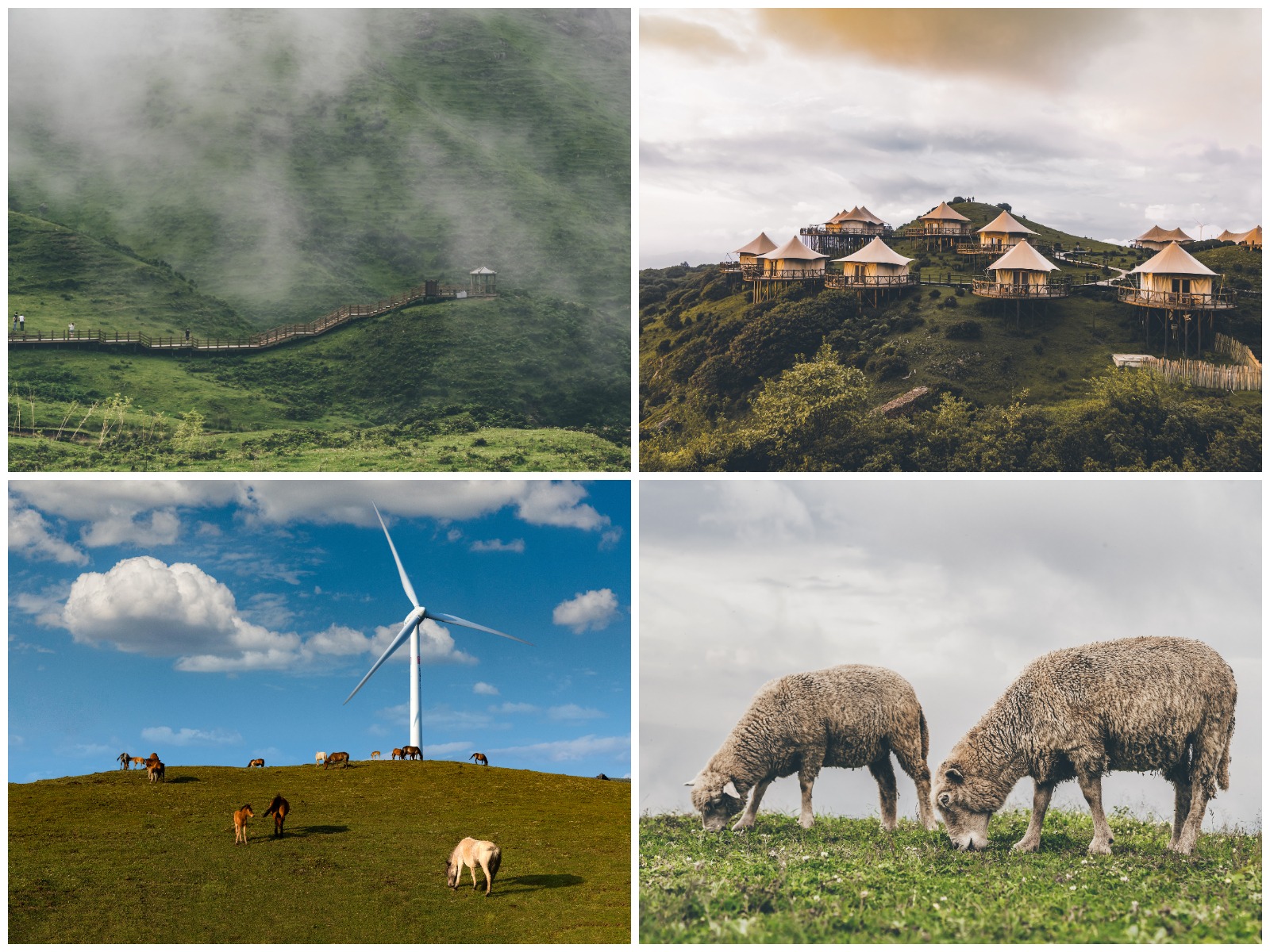 Guizhou's best summer destination: Top 5 sceneries in Liupanshui ...