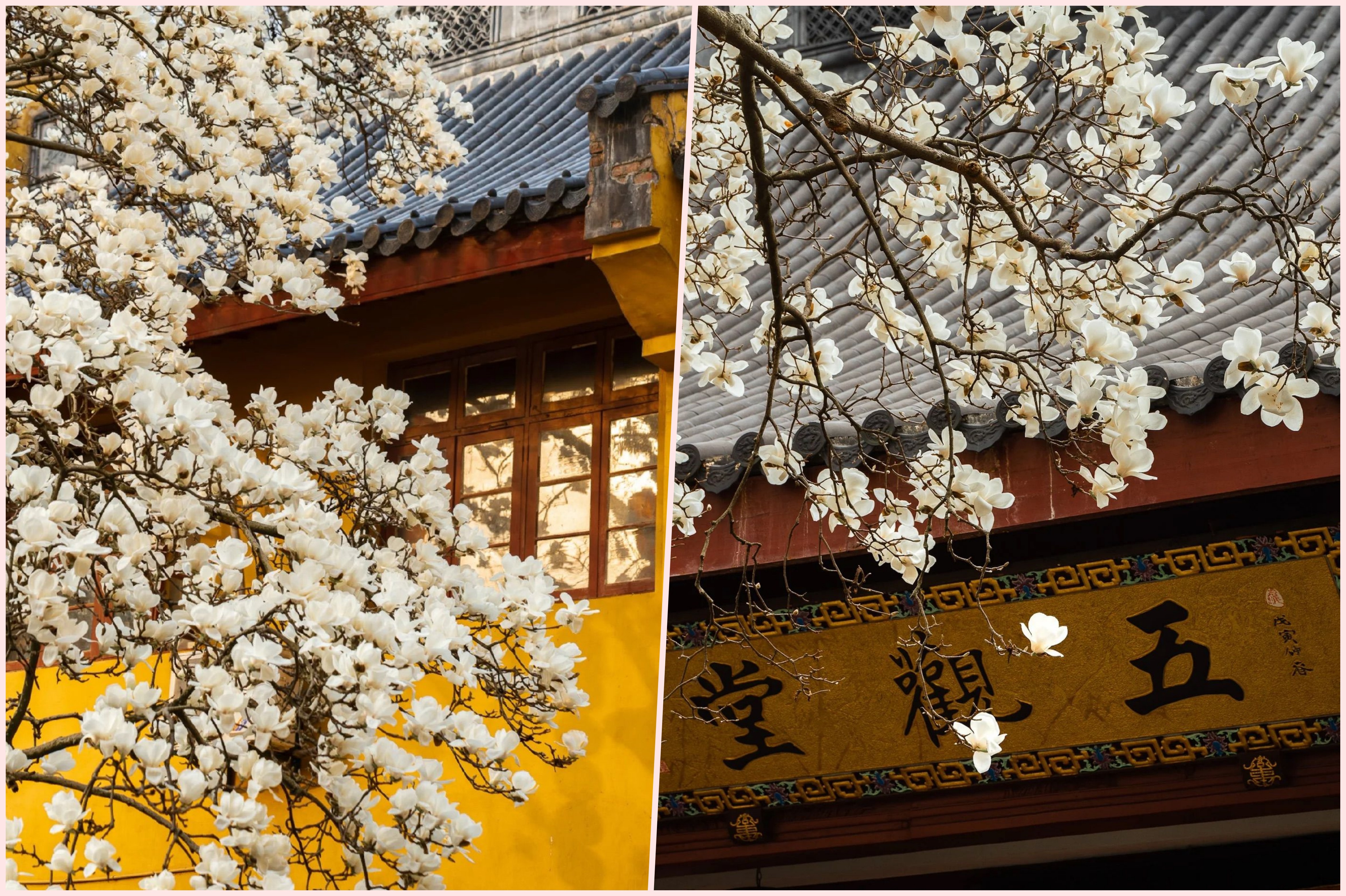 Hangzhou's 3 most popular temples take you on a Zen journey | Travel ...