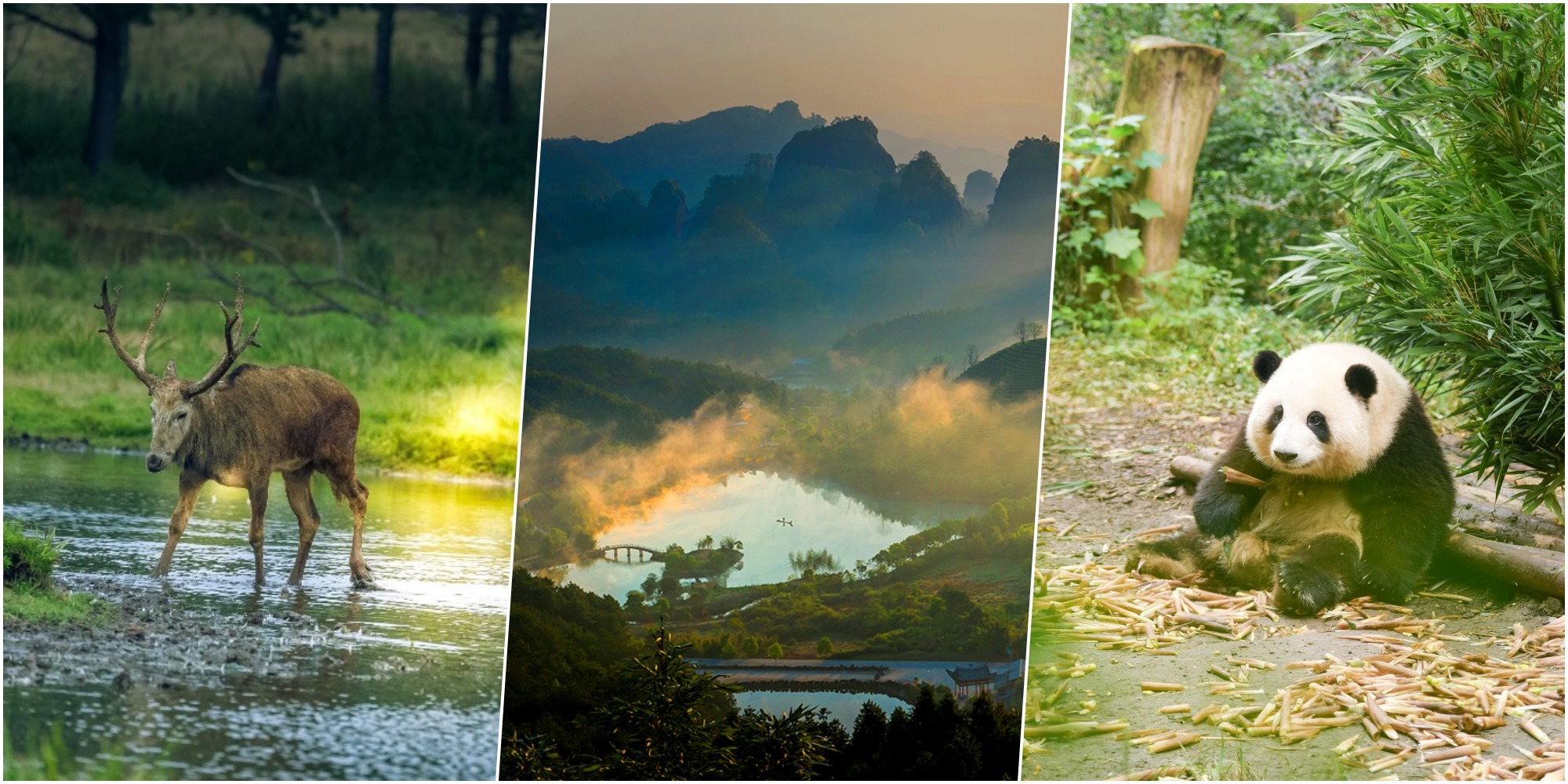 What has China achieved in pollution control? | Extraordinary 75 Years ...