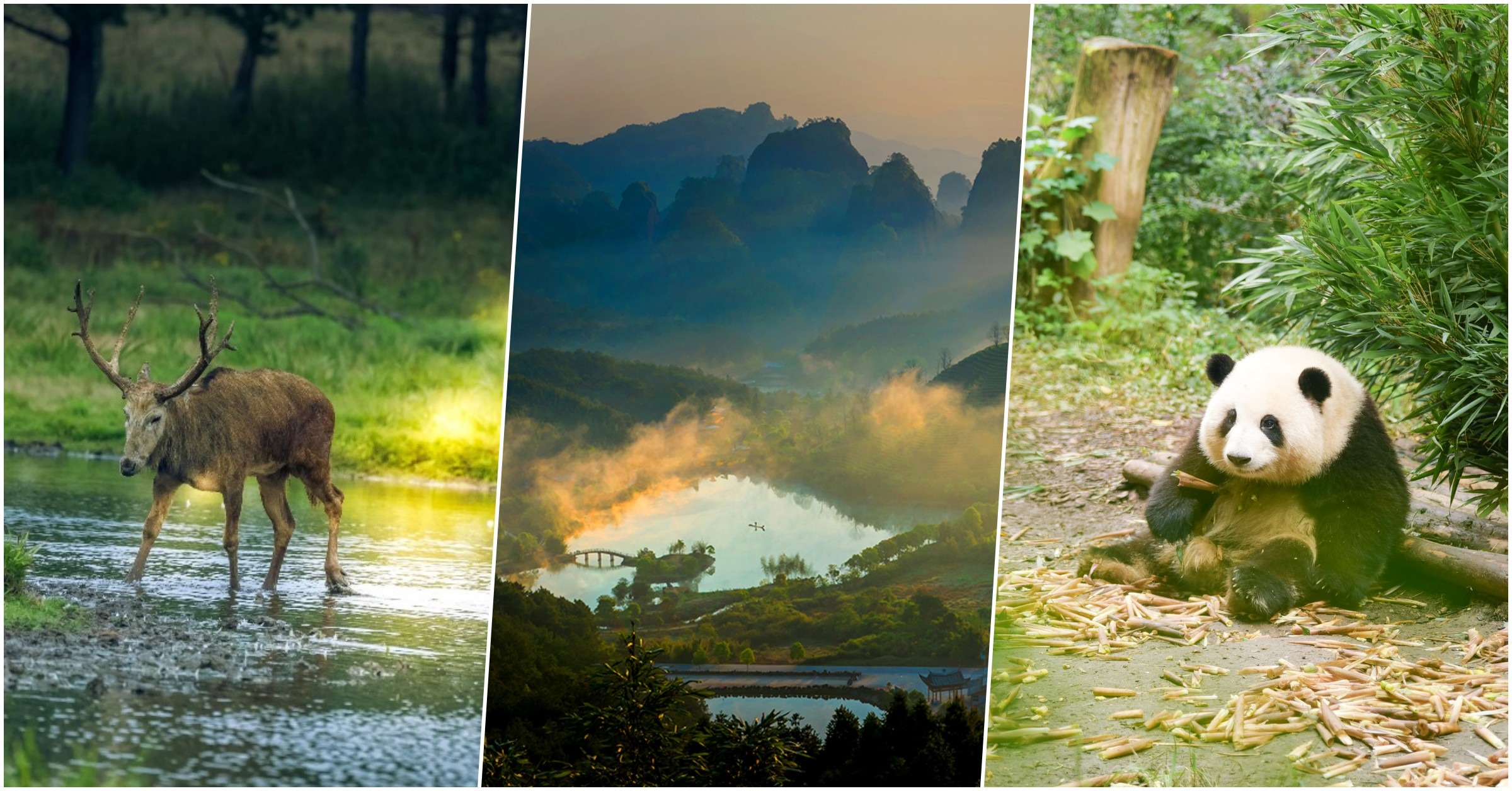 Reform&Opening-up｜How is the world-class port of Qingdao made? | Reform & Opening-up | Feature ...