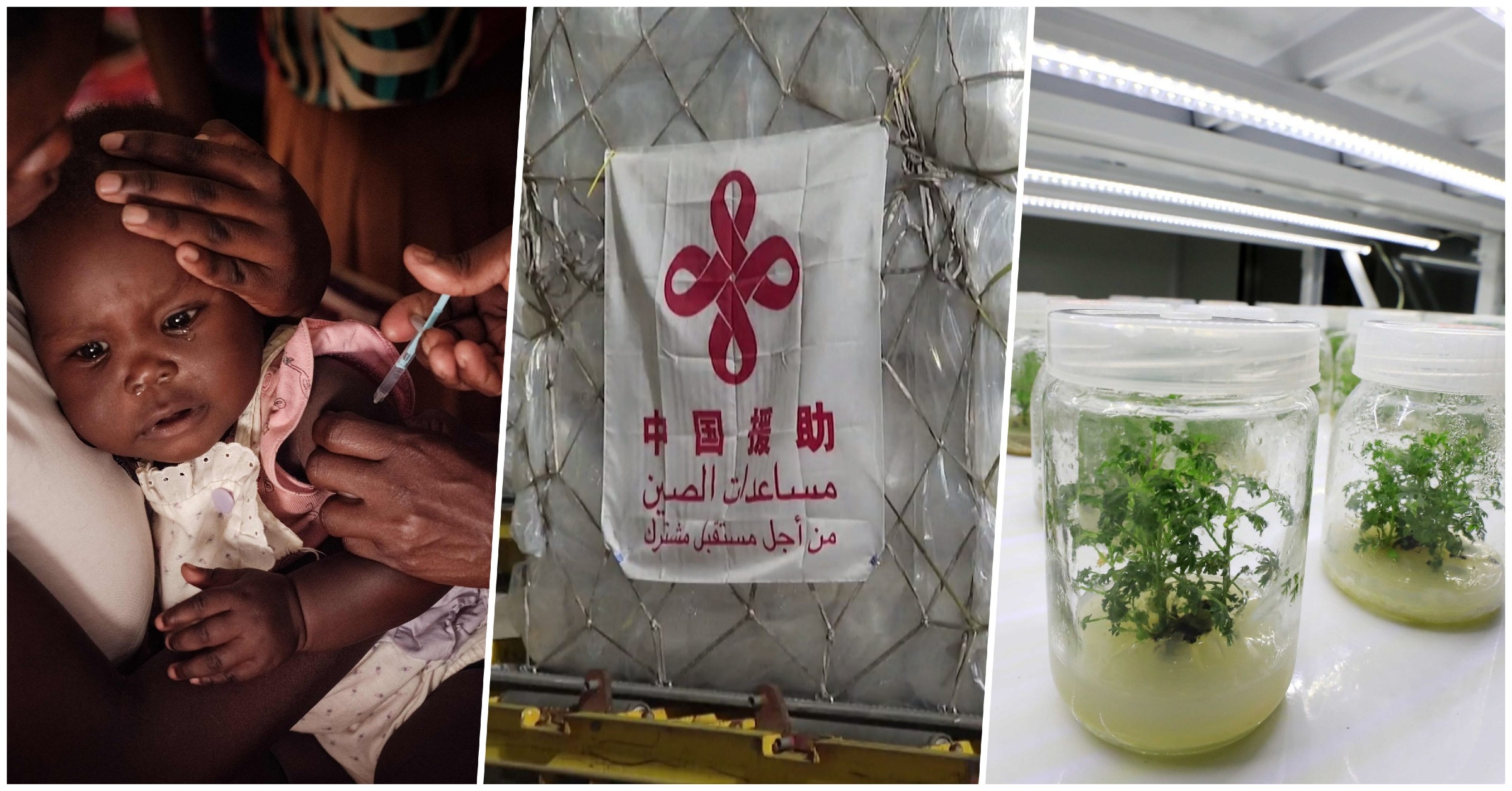 Belt&Road｜Green Silk Road: China's efforts to achieve sustainable ...