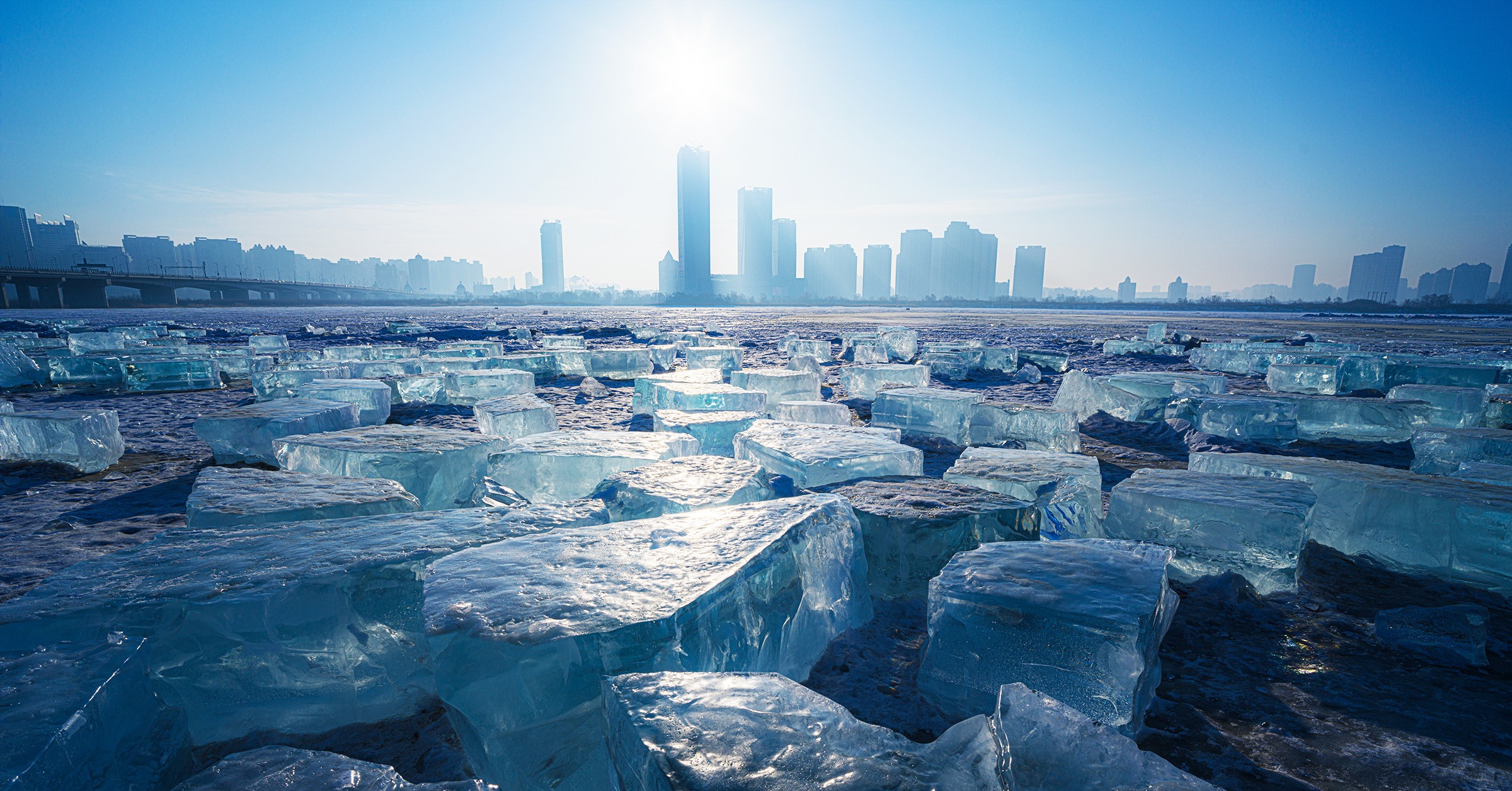 Story of Labubu's father: HK artist Kasing Lung | Innovation Pioneer ...