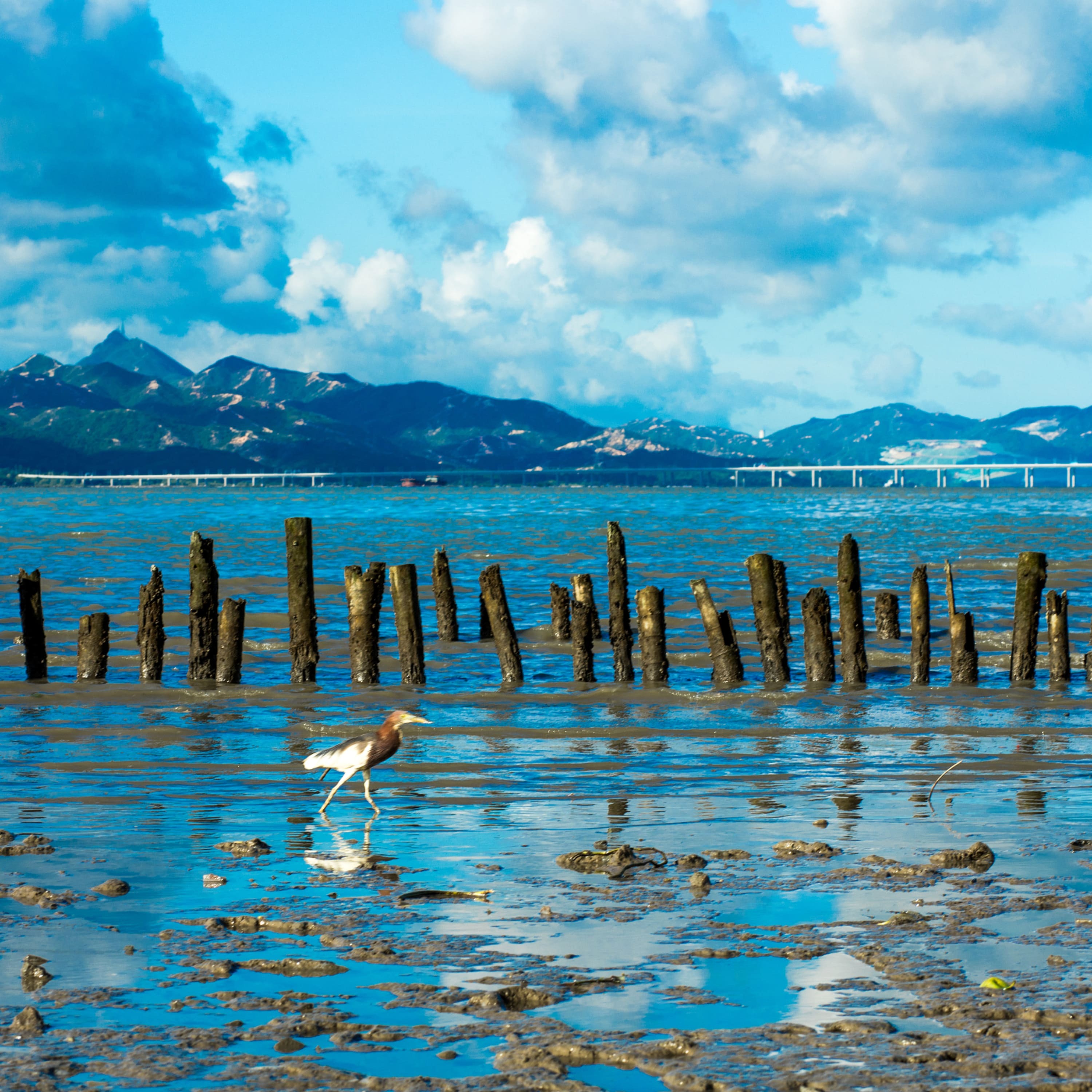 GBA at a Glance｜Understand Guangzhou in 5 figures | Guide to GBA ...