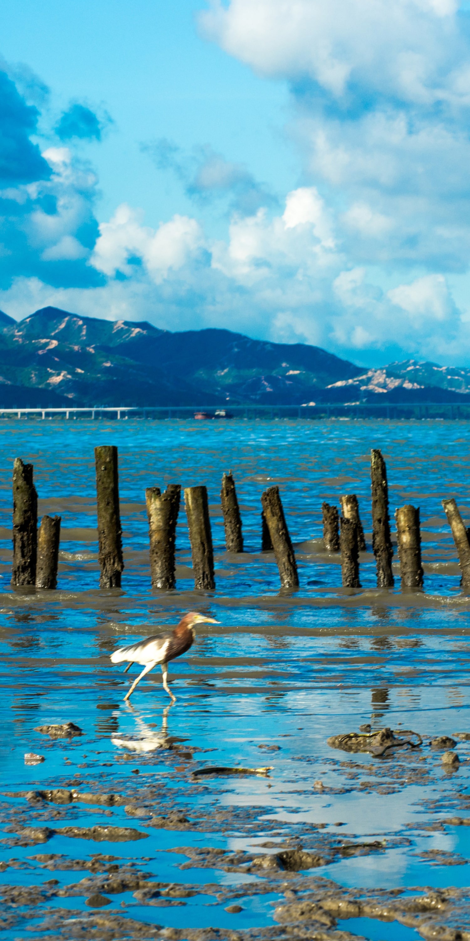 GBA at a Glance｜Understand HK in 5 figures | Guide to GBA | Greater Bay ...