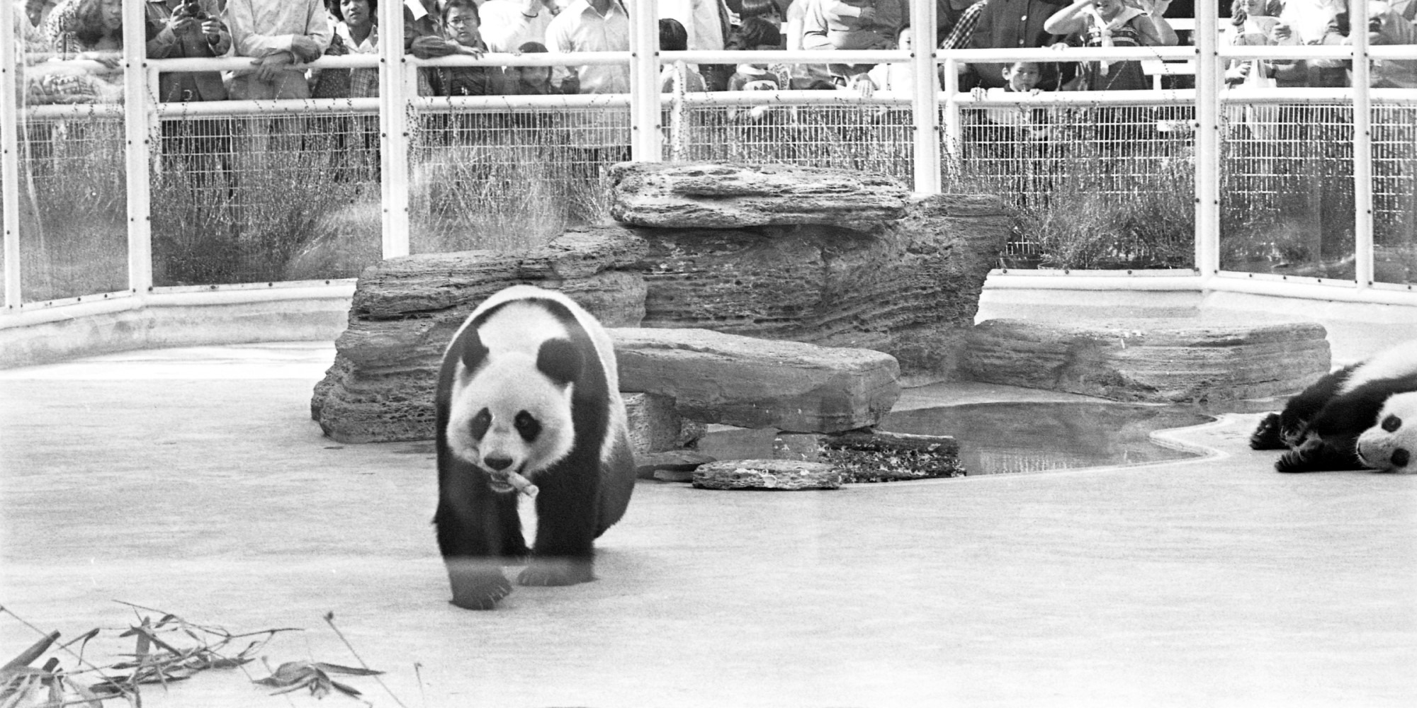 Transformation of HK's PMQ: From historic building to creative landmark ...