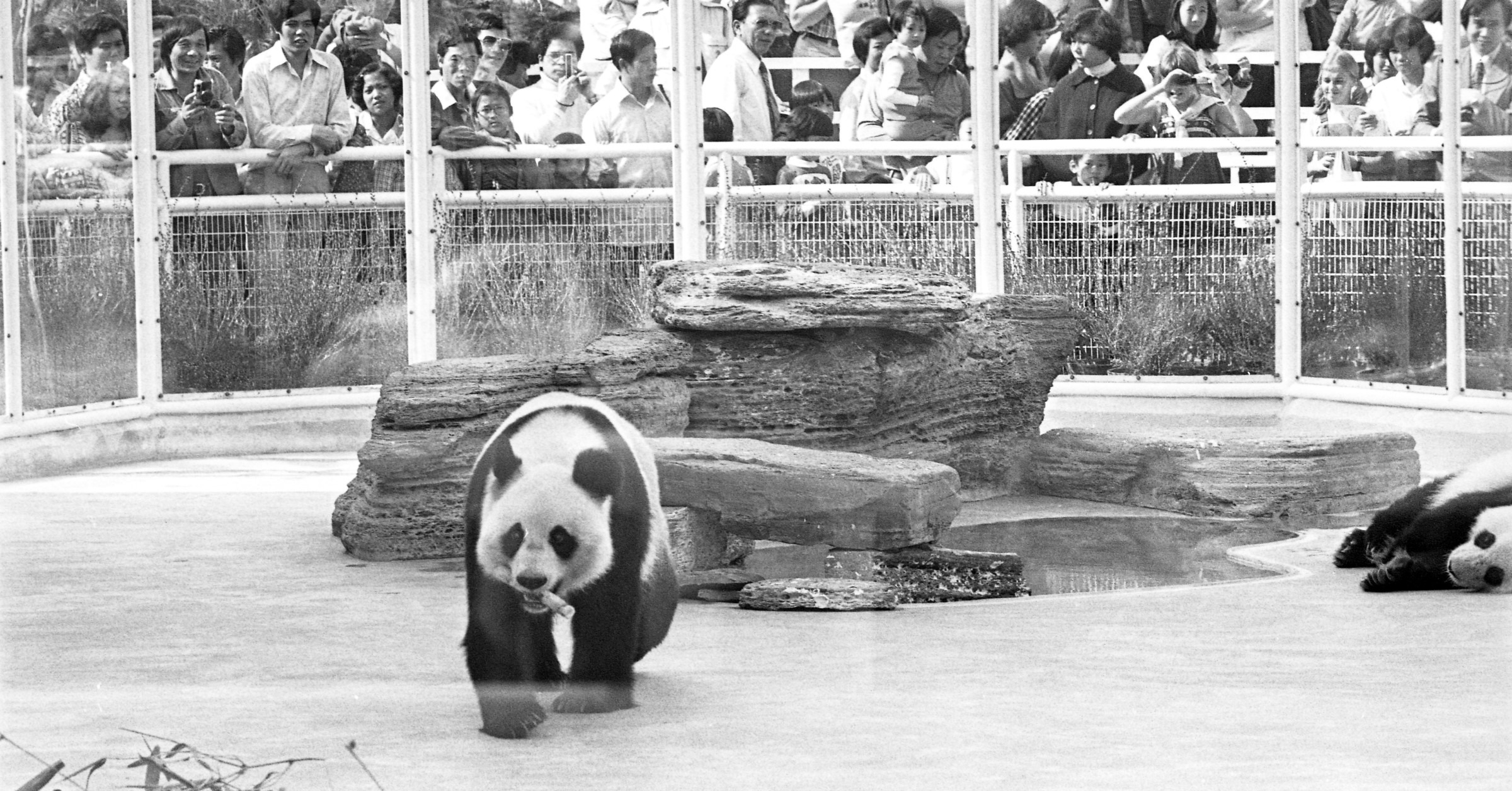 Home | Our China Story