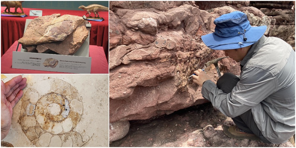 10 highlights of Kai Tak Sports Park in HK | Hong Kong | Greater Bay ...