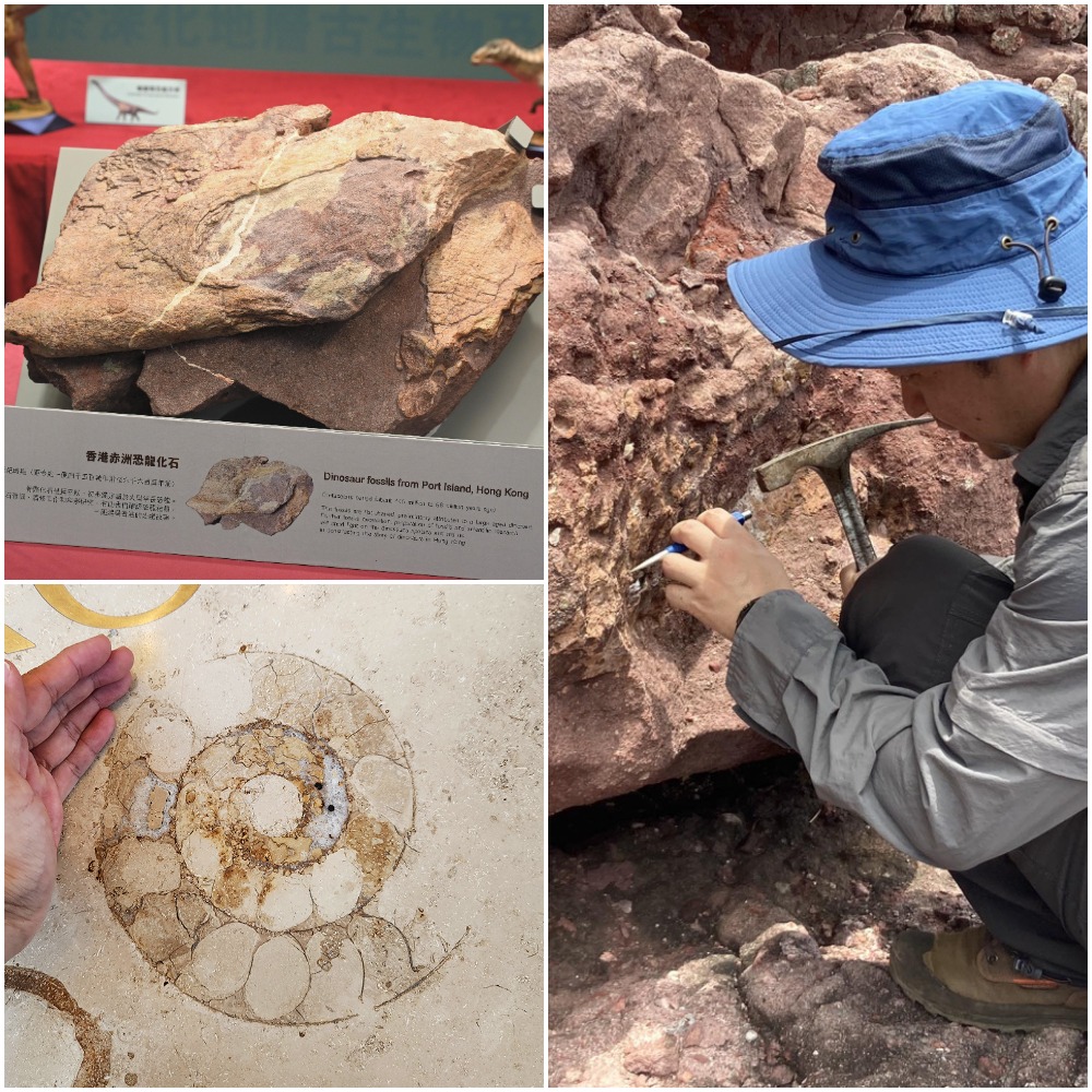 HK's century of aviation history: Taking Off from Kai Tak Airport ...