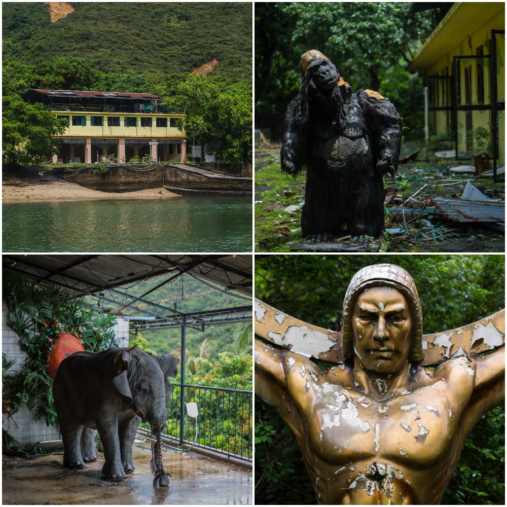 HK Panda: A full guide to follow the growth of panda twin cubs | Hong ...