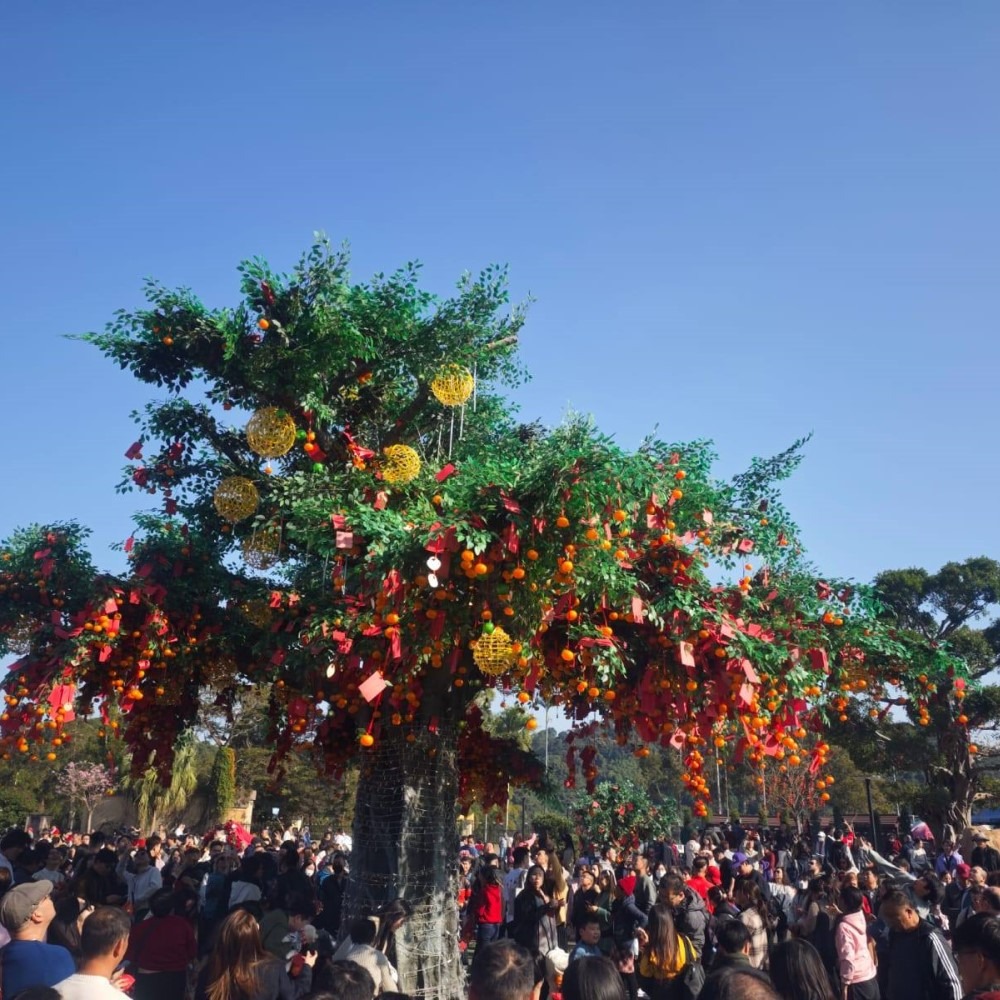 Transformation of HK's PMQ: From historic building to creative landmark ...