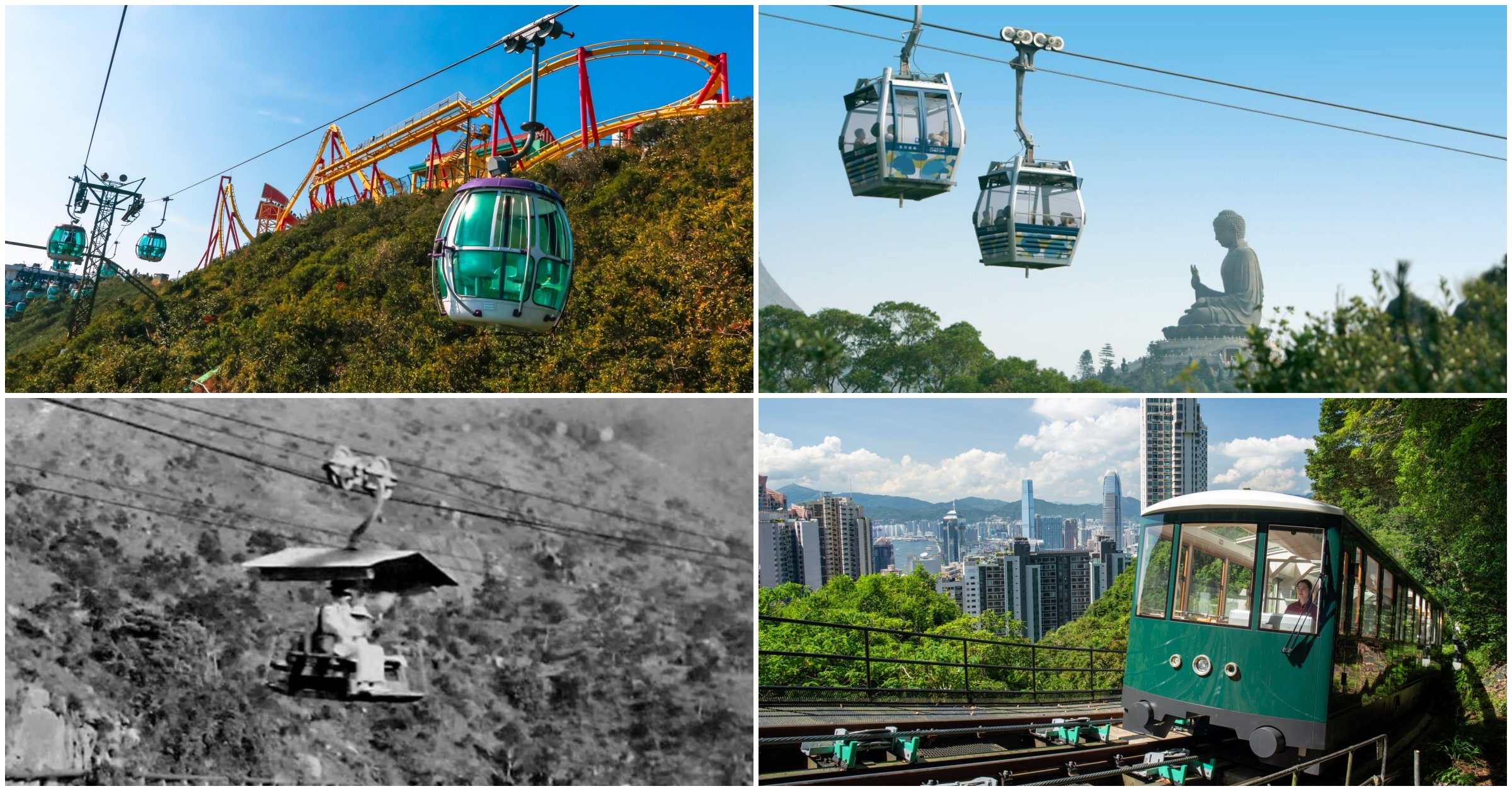 Touring Nanjing to enjoy the extraordinary scenery of Plum Blossom Hill ...