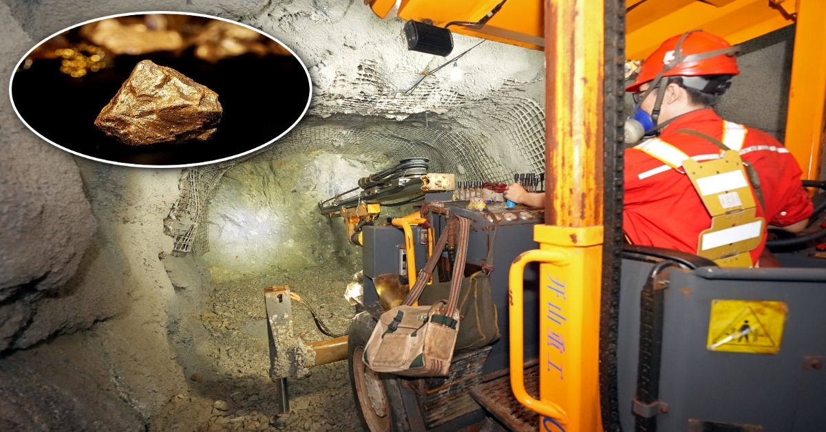 Unitree founder Wang Xingxing: A post-90s "robotics genius ...