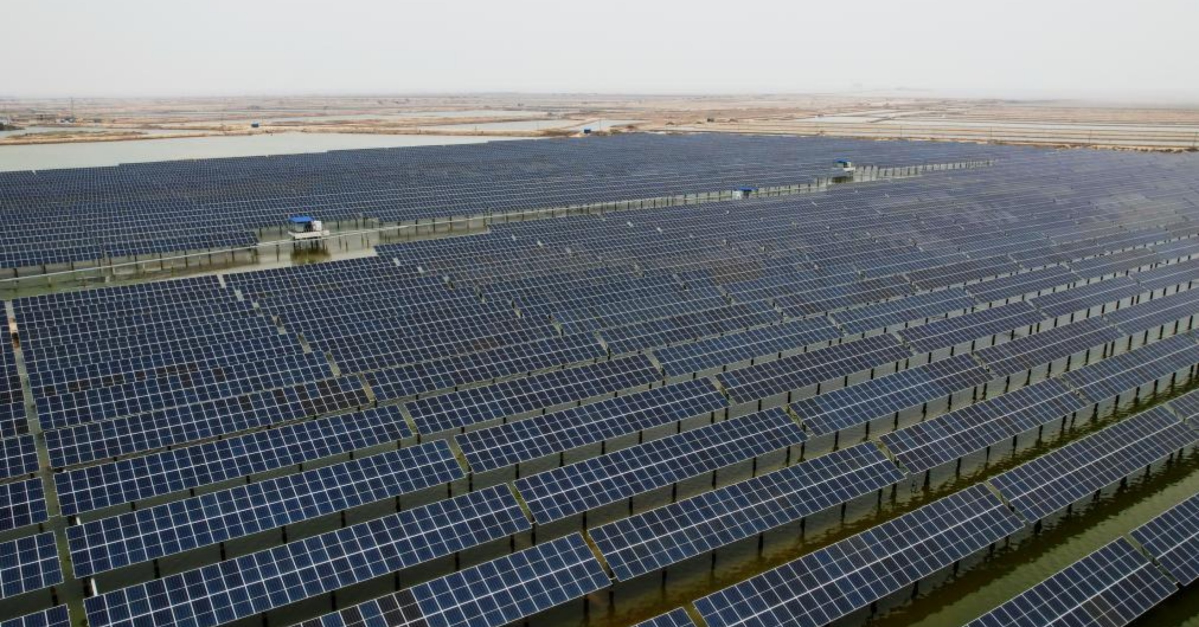 TikTok Ban｜Xiaohongshu: Who's its CEO and how was it founded? | Innovation Pioneer | People ...