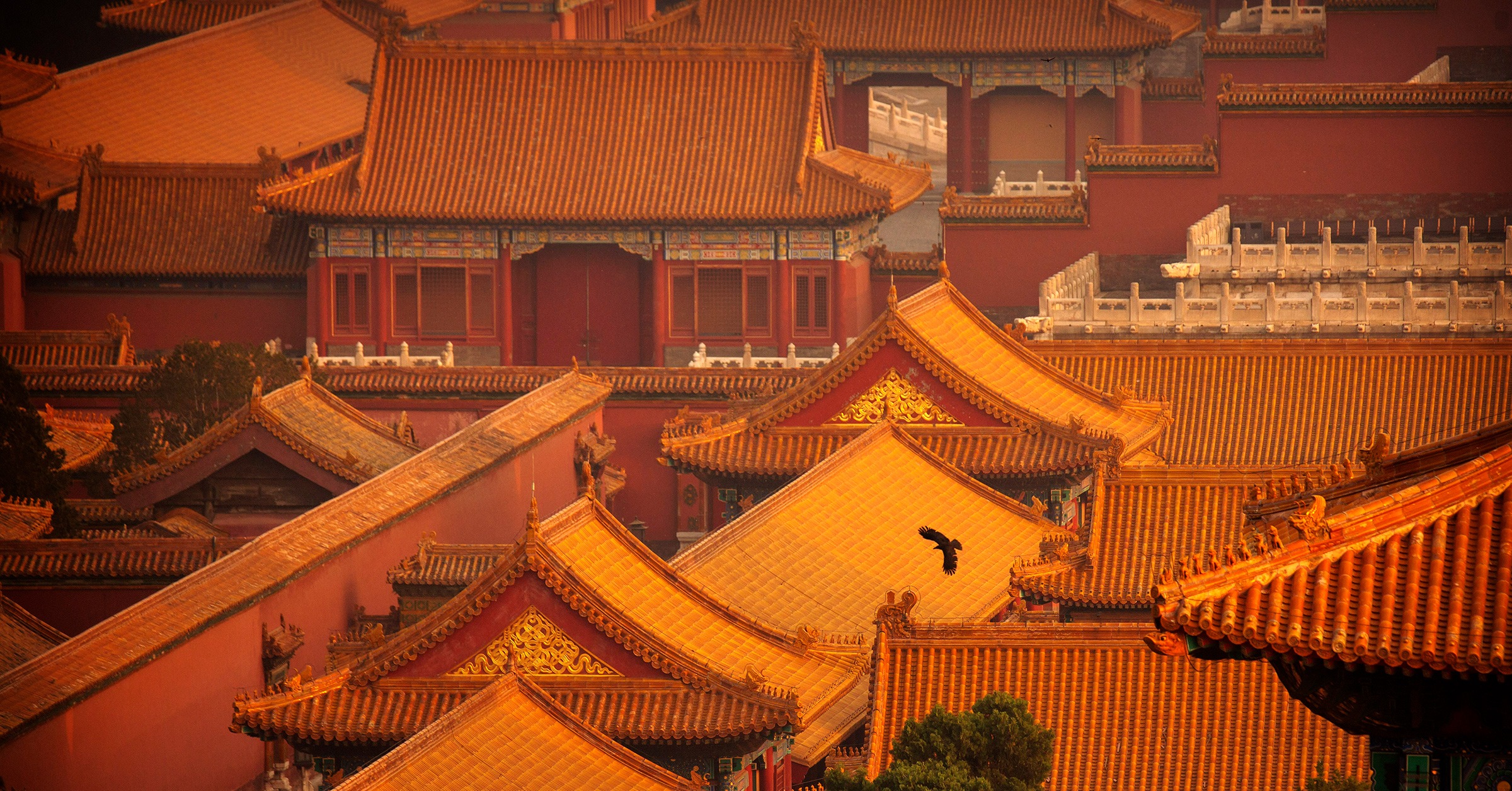 What is "Carbon Peaking and Carbon Neutrality"?｜Understand China's ...