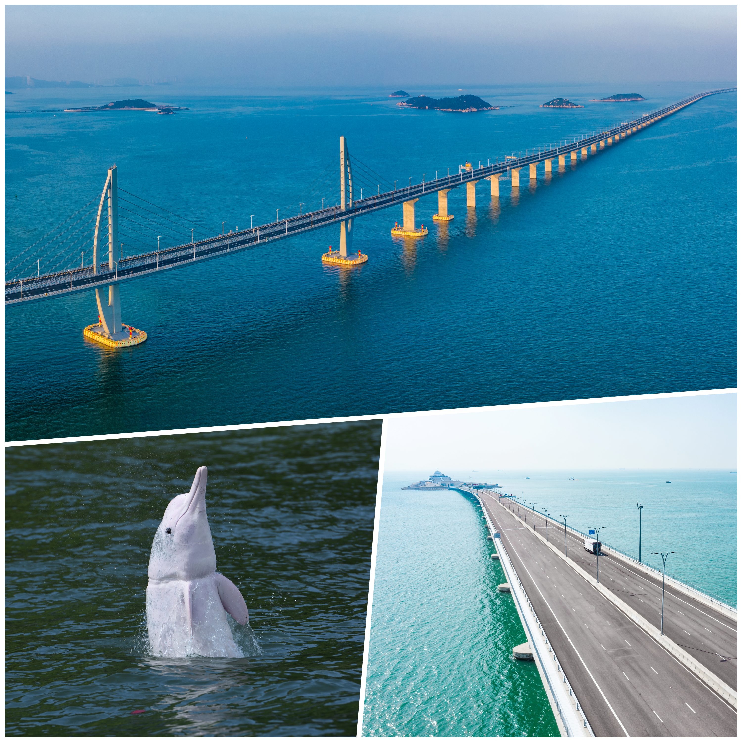 The "Longest Metro" in China! 4 GBA intercity railways connect 5 cities ...