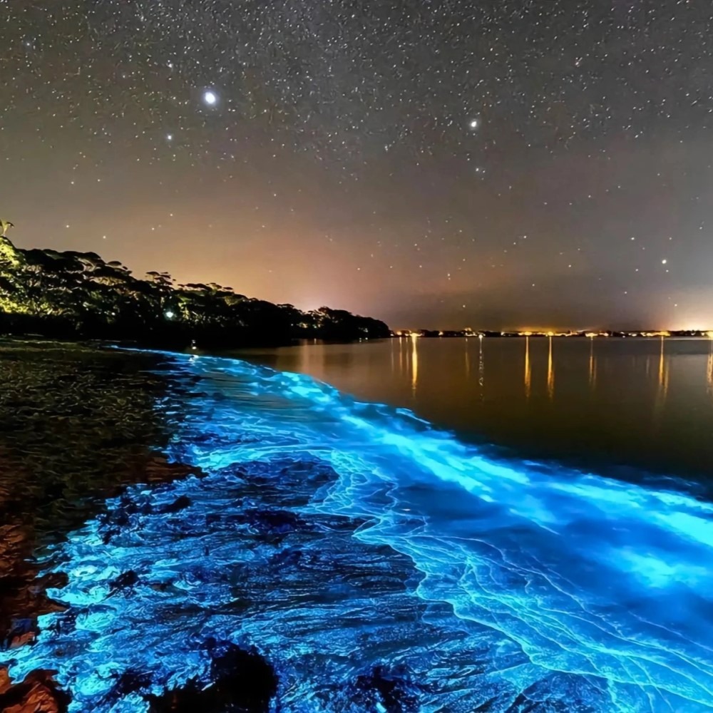 Guide to Taobao's first furniture store in Hong Kong | One-hour Living ...