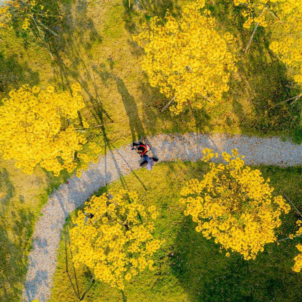 GBA at a Glance｜Understand Jiangmen in 5 figures | Guide to GBA ...