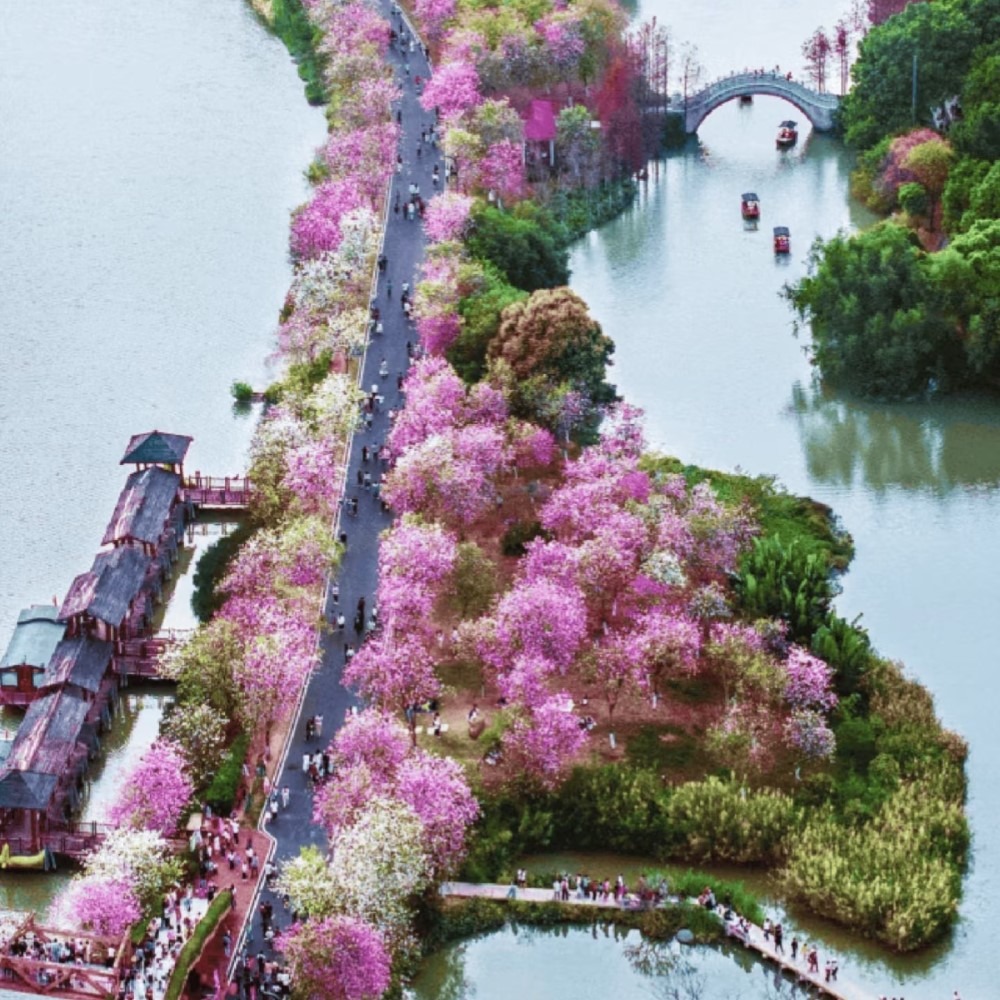 One-day tram tour of 10 attractions in Guangzhou | Guangzhou | Greater ...