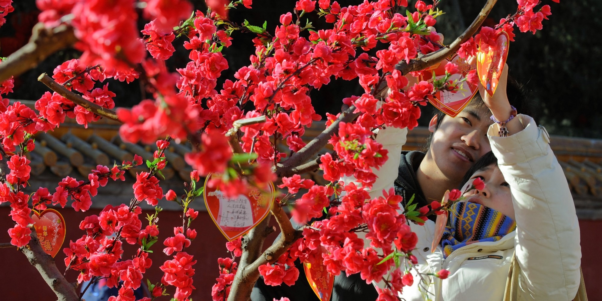 3 must-see flower viewing spots in Guangzhou! | Guangzhou | Greater Bay ...