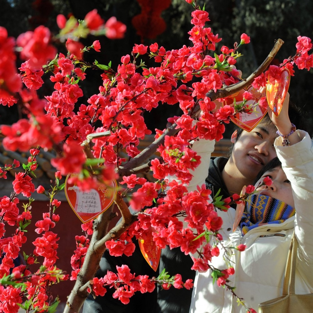 2025 Shenzhen flower-viewing spots you can't miss! | Shenzhen | Greater ...