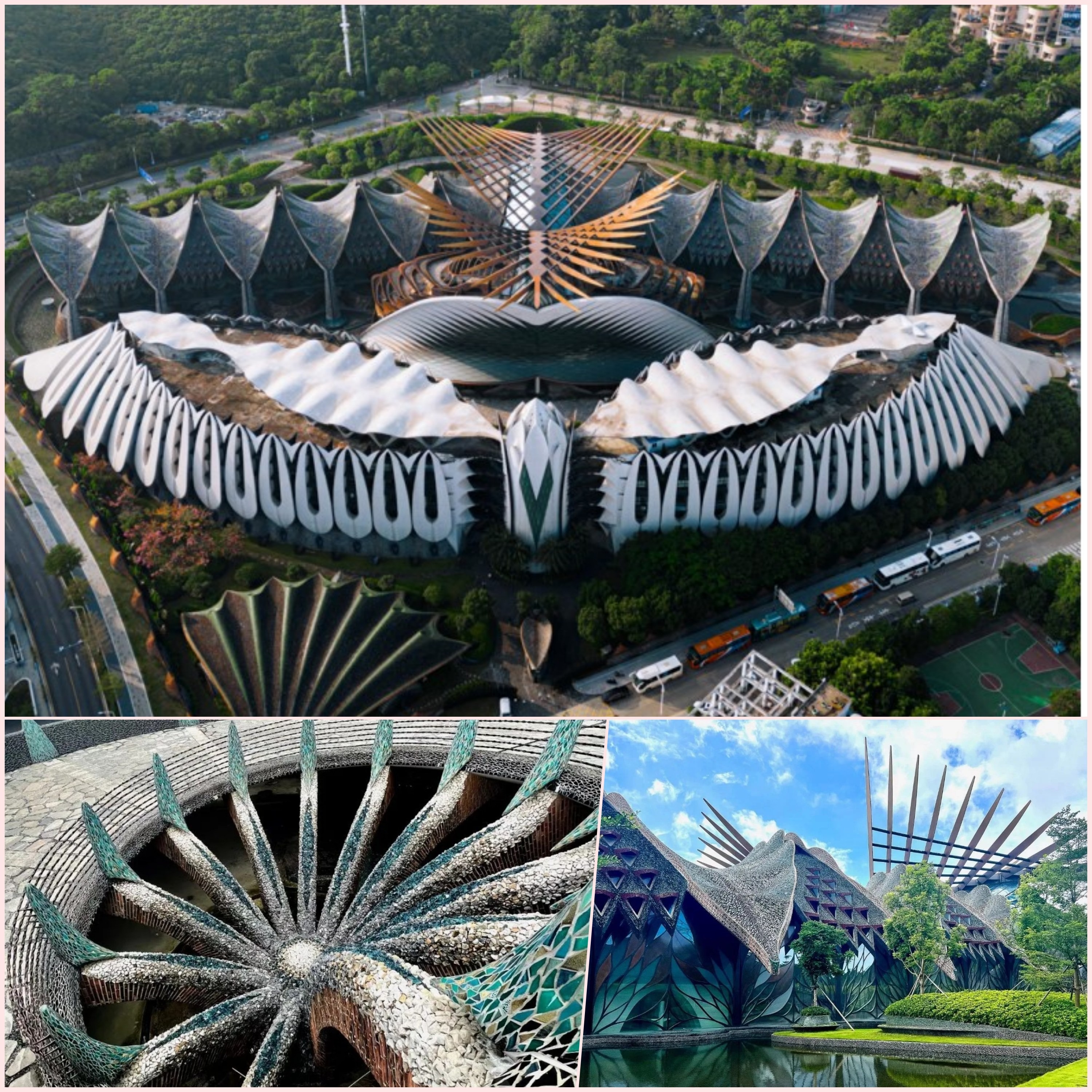 湾区打卡｜探秘深圳超级办公室 玛丝菲尔大厦造型魔幻 细节神奇 | 探索深圳 | 乐活湾区 | 当代中国