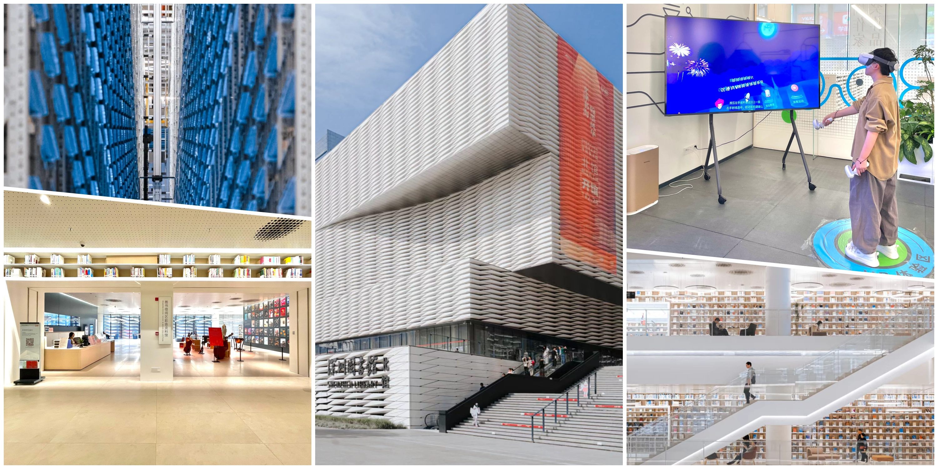 Top 5 places to enjoy plum blossoms in Shenzhen! | Shenzhen | Greater ...