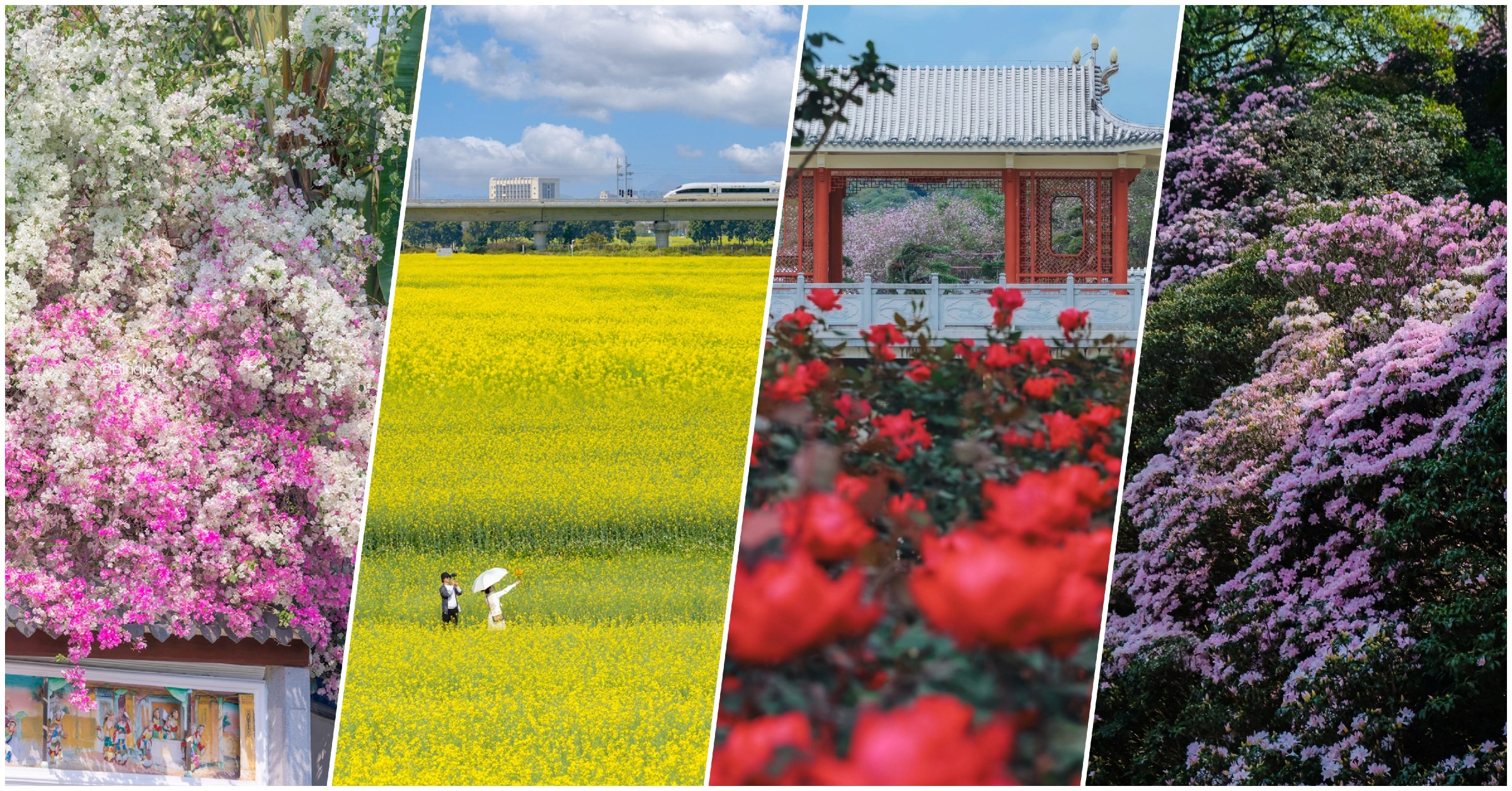 4 Spring flowering wonderlands you can't miss in China! | Travel ...