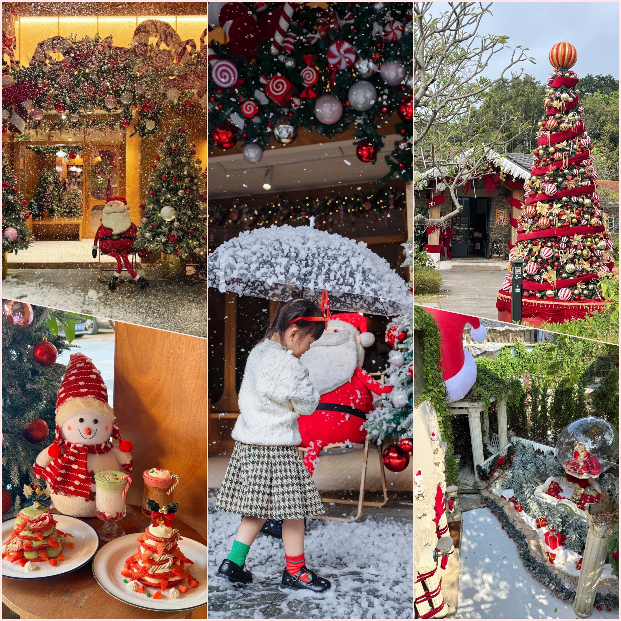 Top 5 places to enjoy plum blossoms in Shenzhen! | Shenzhen | Greater ...