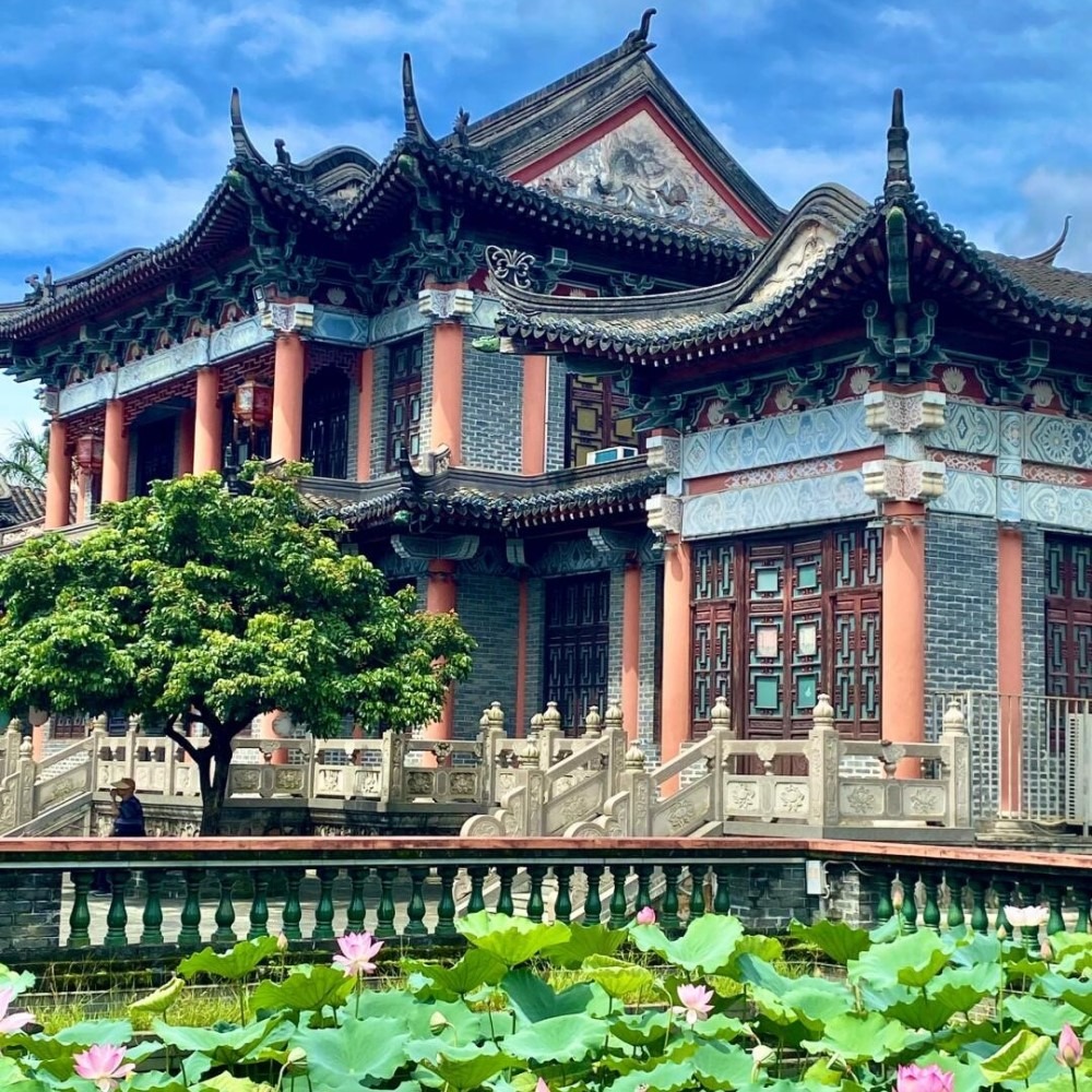 Top 5 places to enjoy plum blossoms in Shenzhen! | Shenzhen | Greater ...