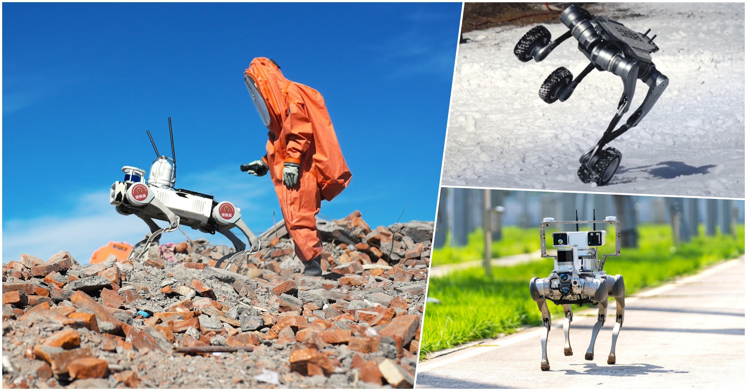 Unitree founder Wang Xingxing: A post-90s "robotics genius ...