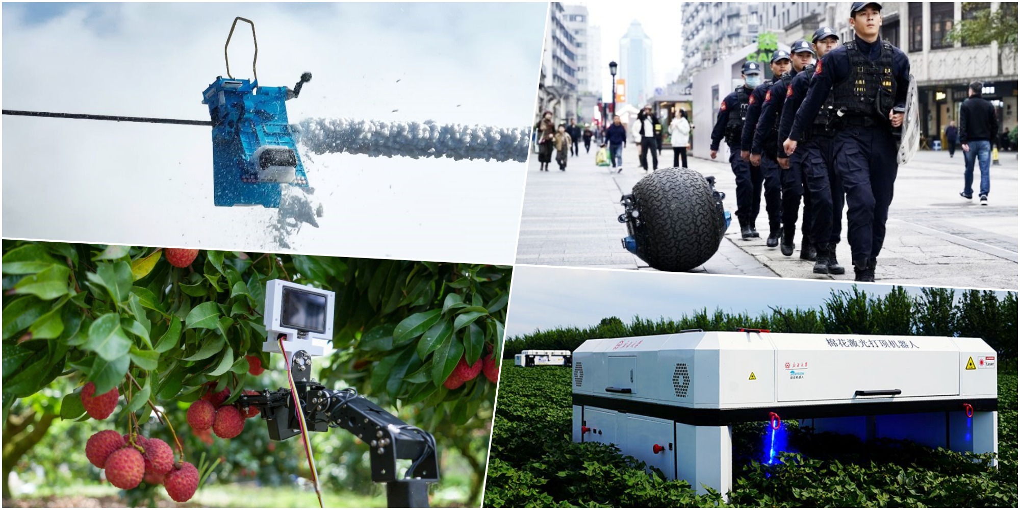 The journey home of China's mysterious beasts—milu deer | Smart Living ...