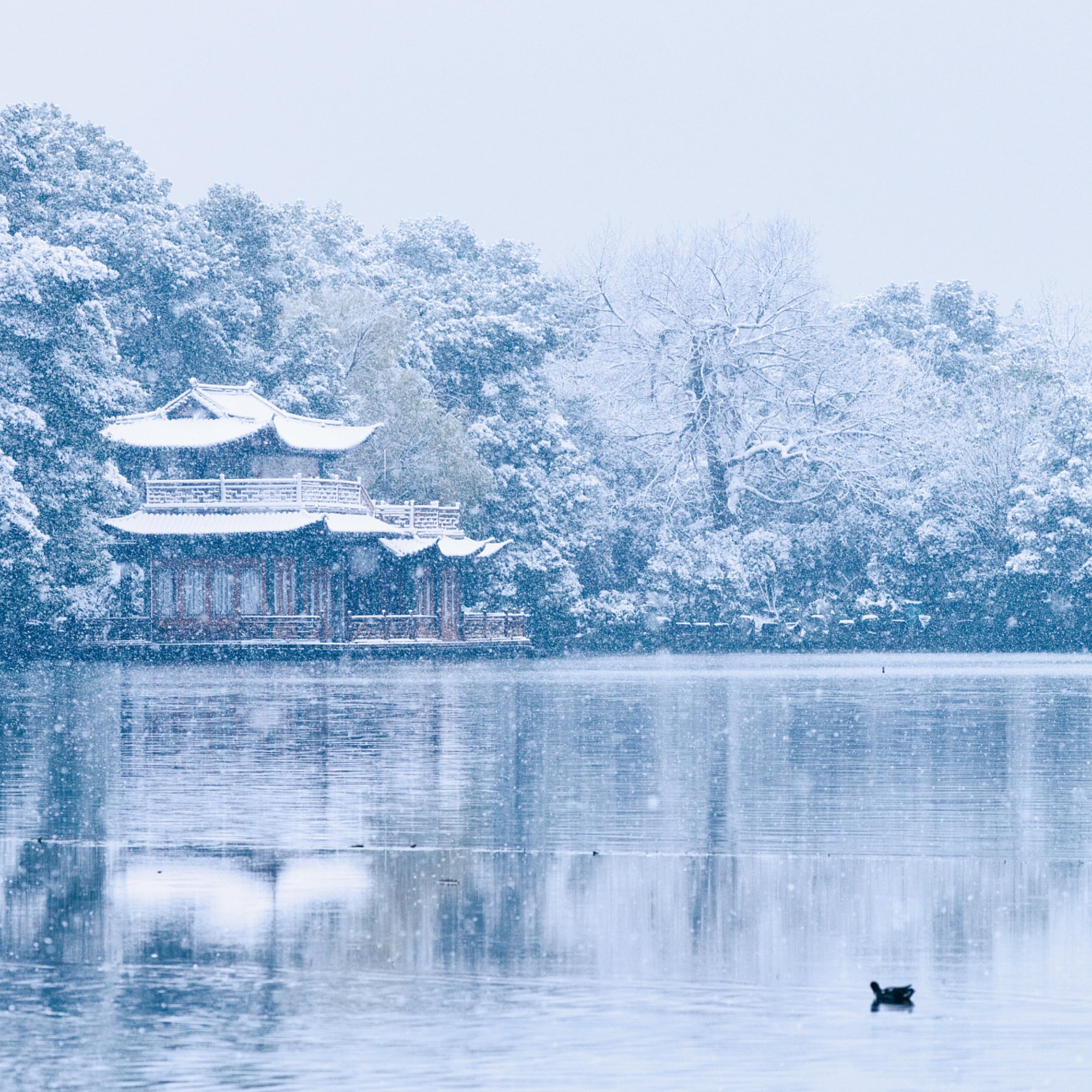 Liaoning Red Beach: A wondrous spectacle of nature | Snapshot of China ...