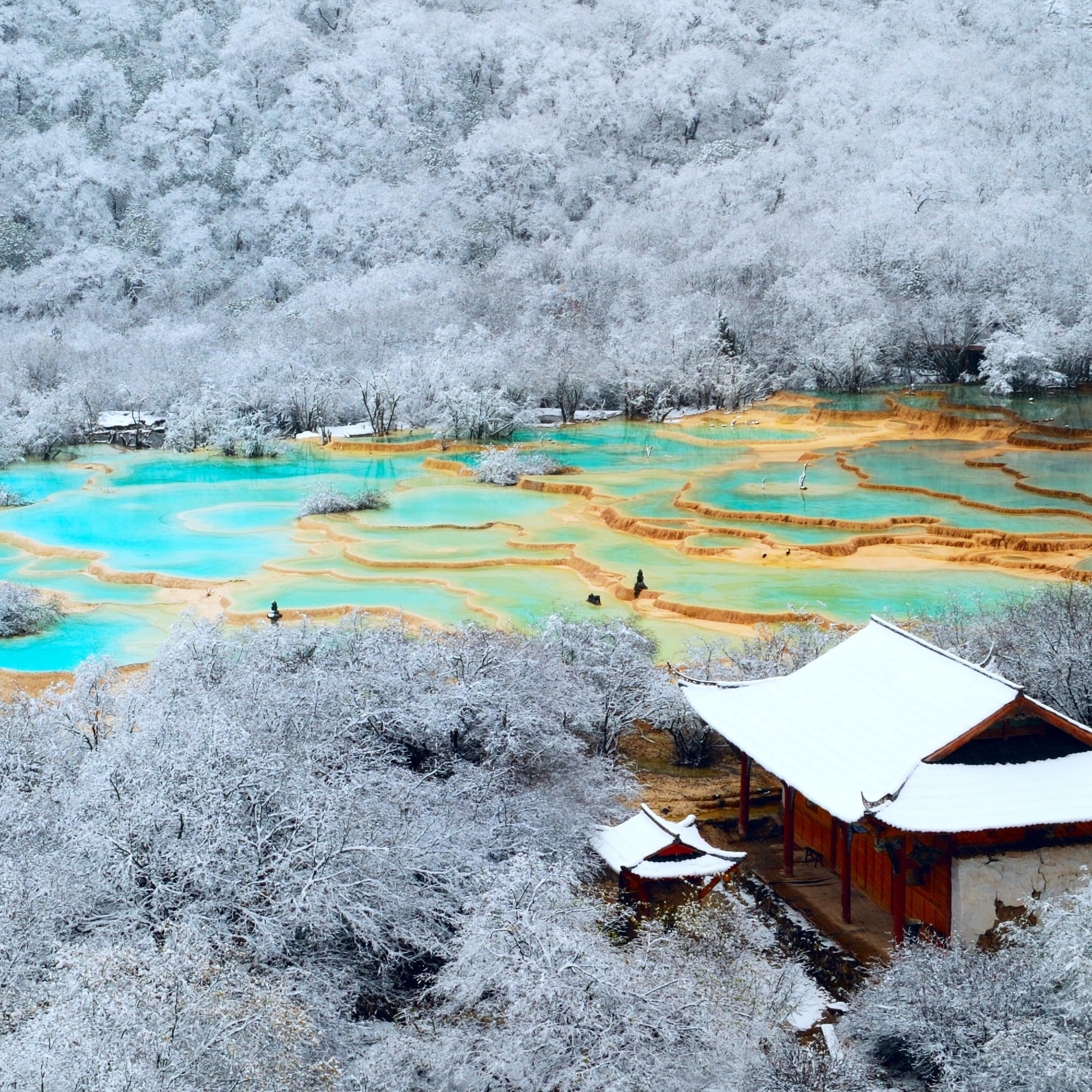 Liaoning Red Beach: A wondrous spectacle of nature | Snapshot of China ...