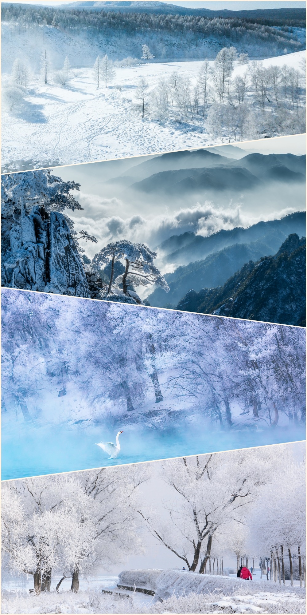 Liaoning Red Beach: A wondrous spectacle of nature | Snapshot of China ...