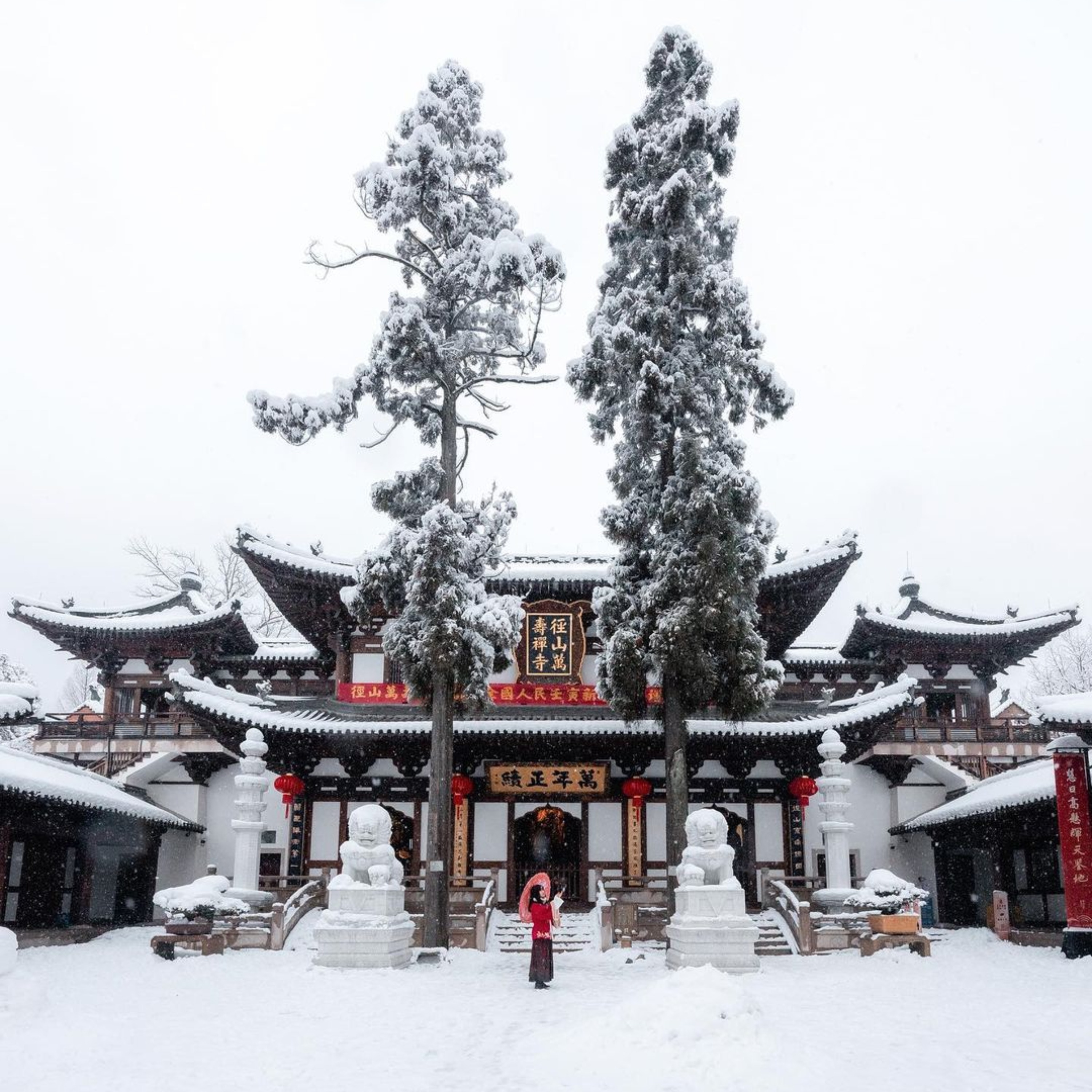Liaoning Red Beach: A wondrous spectacle of nature | Snapshot of China ...