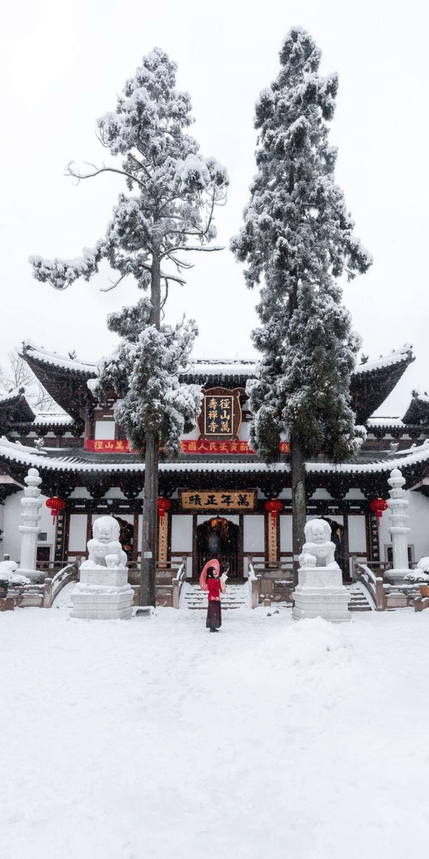 Liaoning Red Beach: A wondrous spectacle of nature | Snapshot of China ...