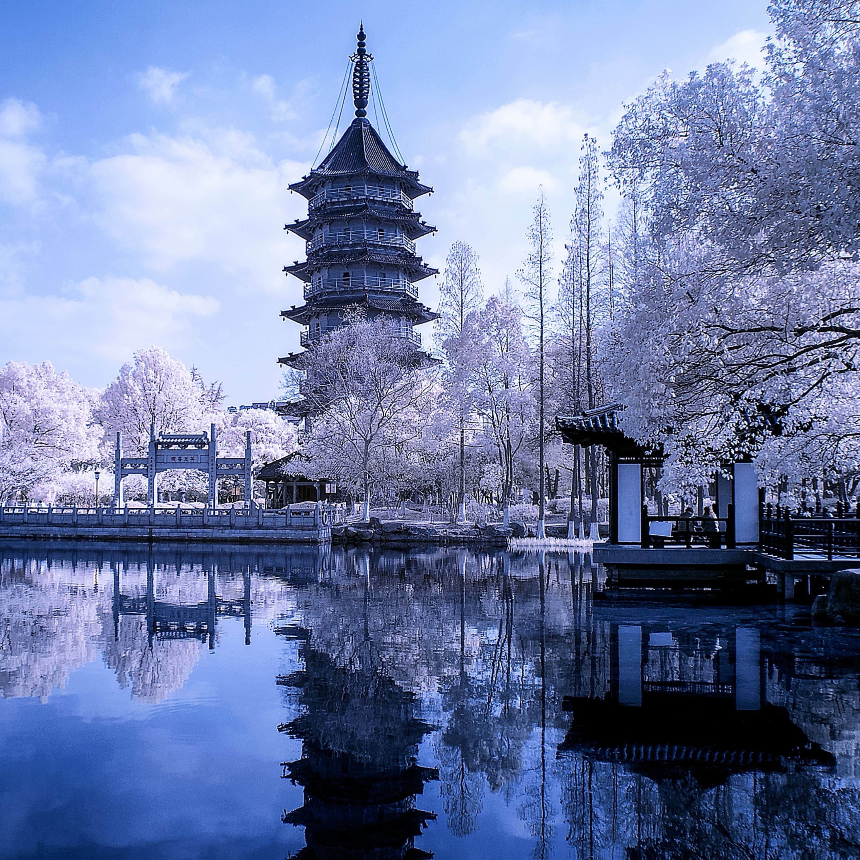 The most beautiful Zhongshuge Bookstores in China | Snapshot of China ...