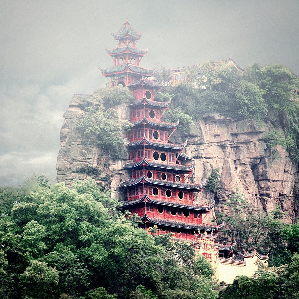 Mystery of the "ageless" ginkgo tree in China's Xi'an | Snapshot of ...