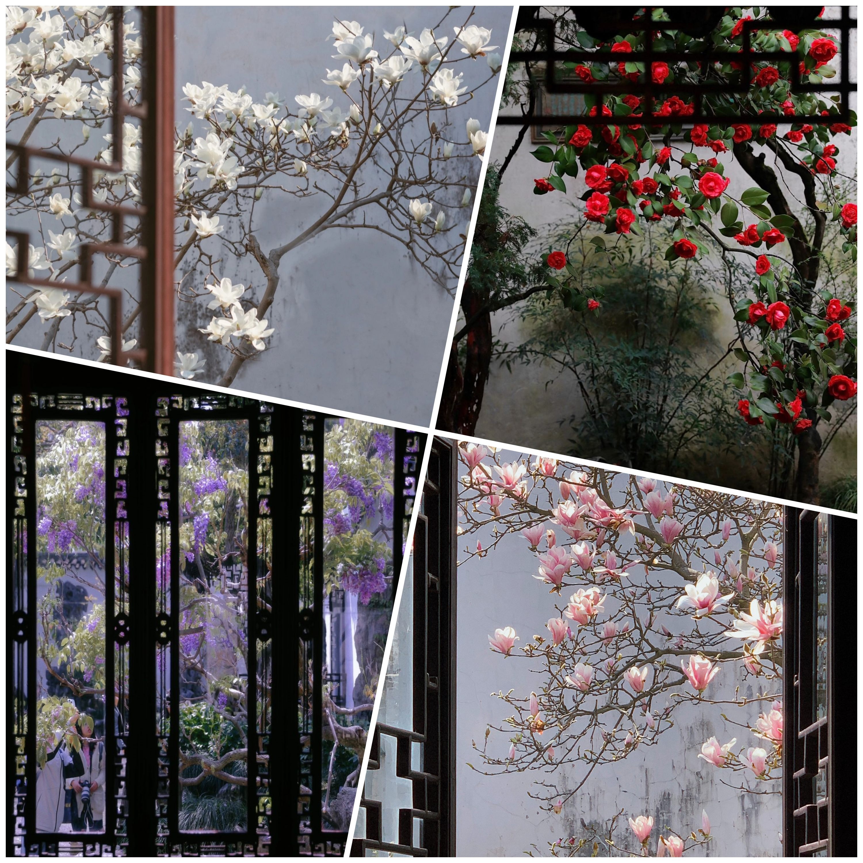 Huanglong Valley: Mystery of the changing colours of the water ...