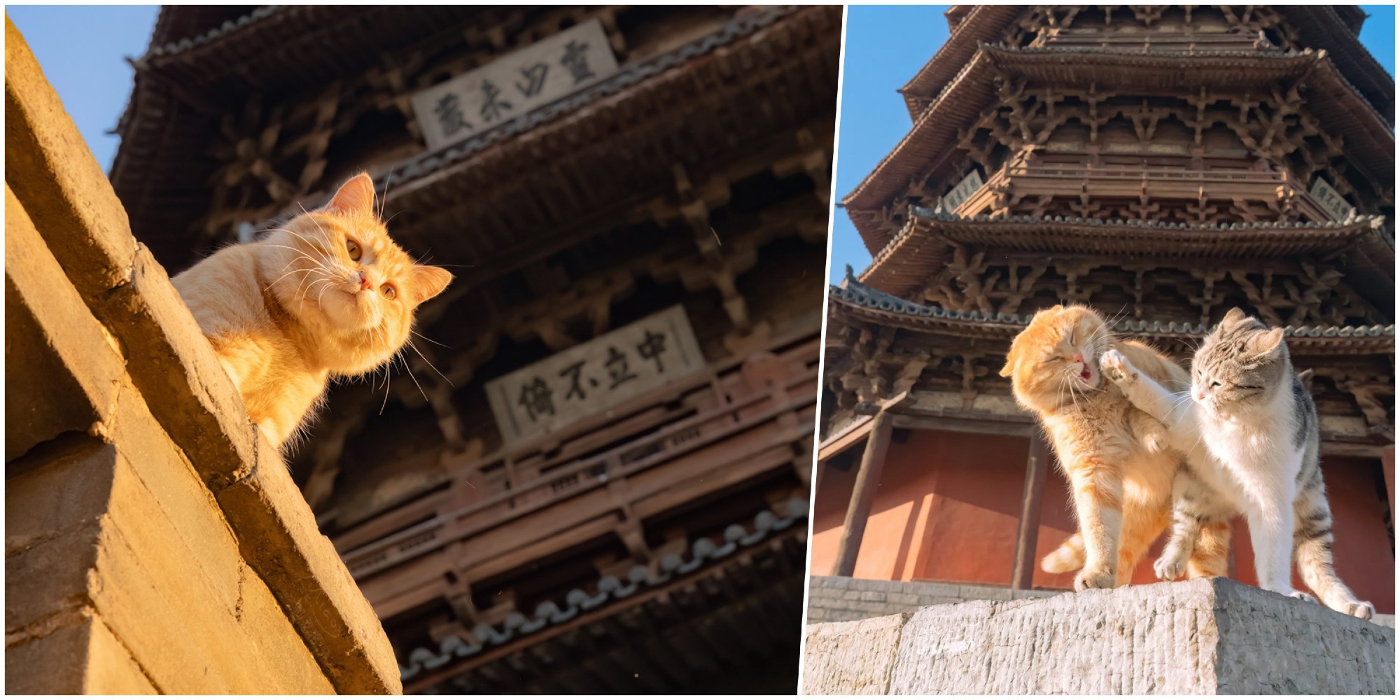 Ancient secrets of China's Xixia Imperial Tombs | Snapshot of China ...