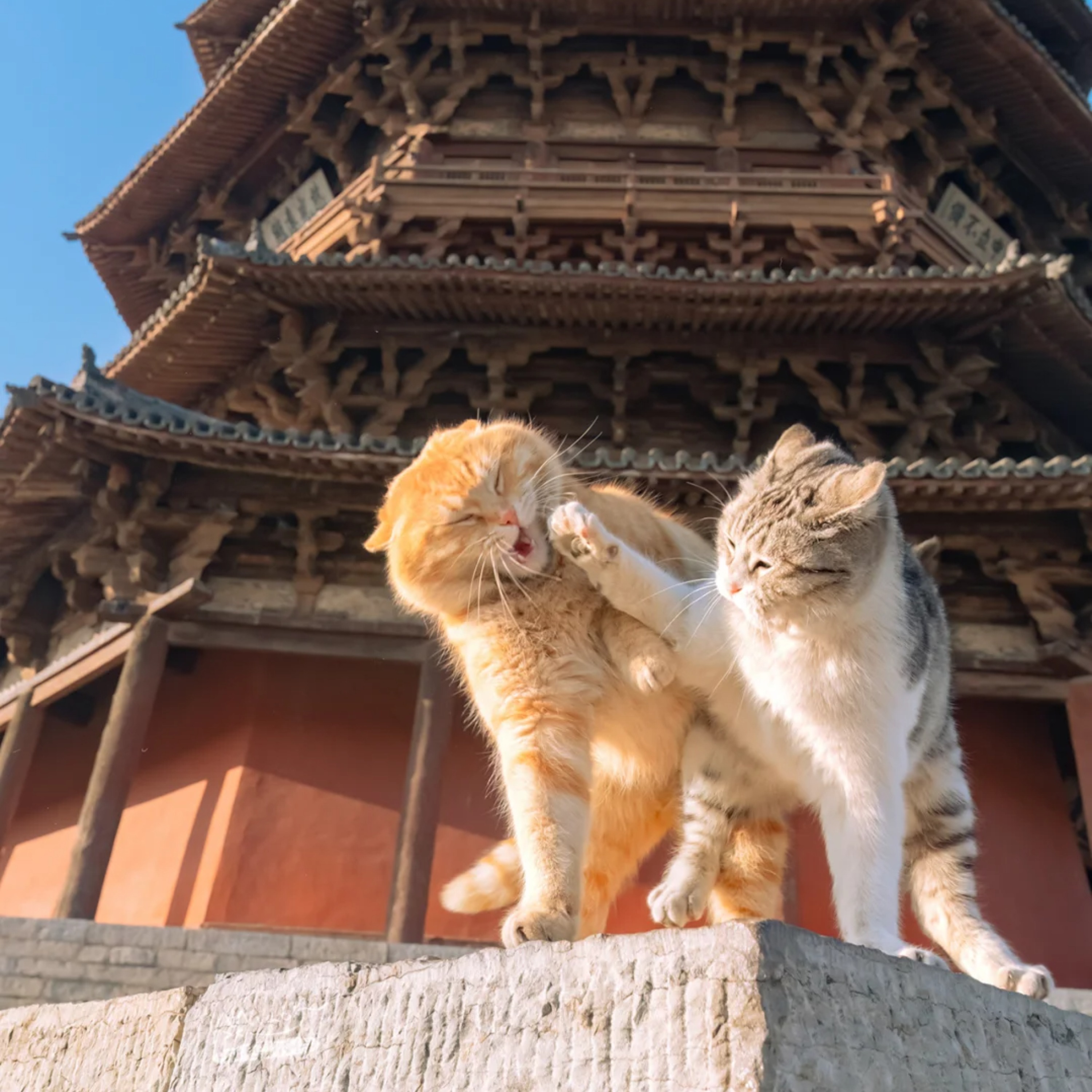 Home | Our China Story