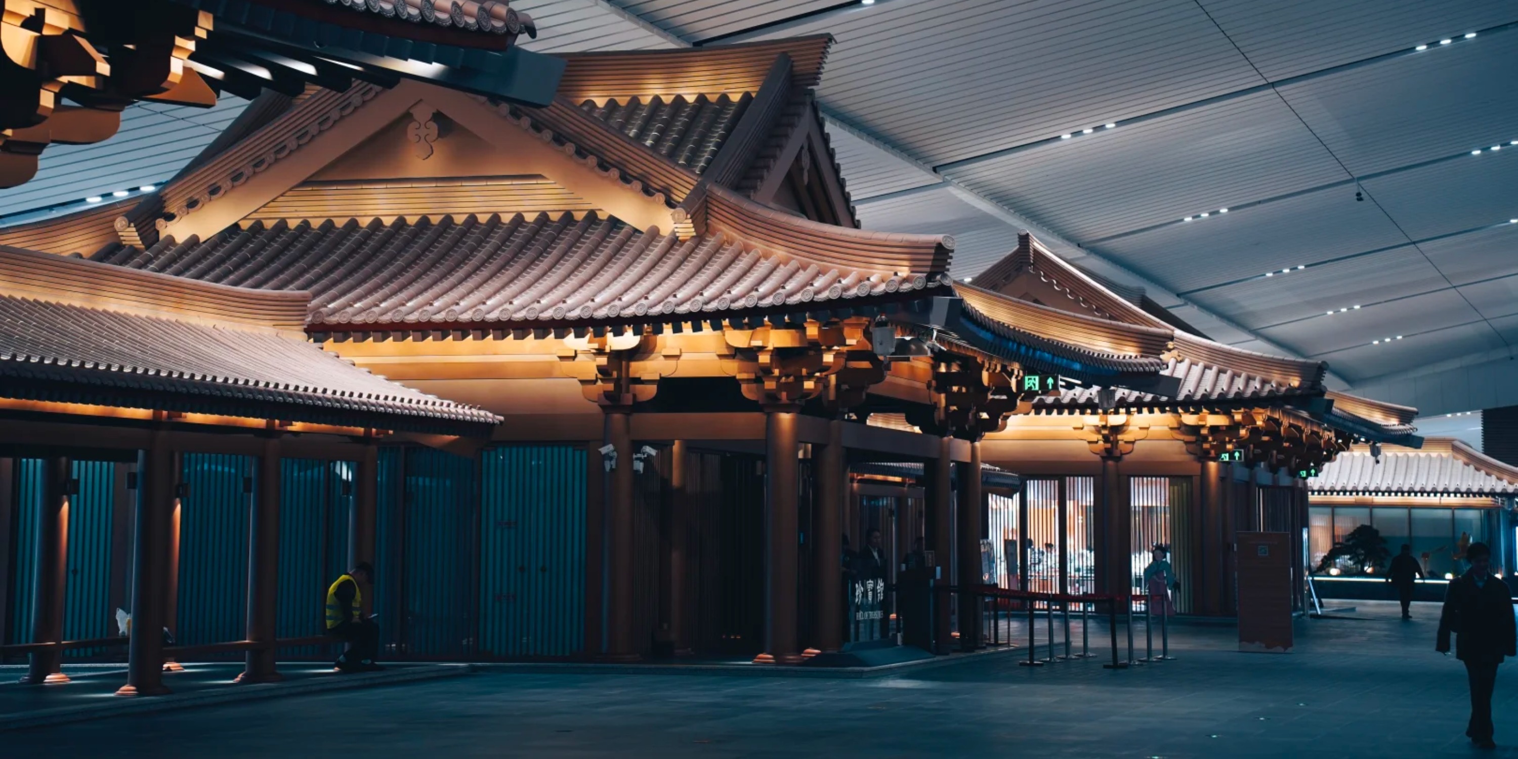 Mystery of the "ageless" ginkgo tree in China's Xi'an | Snapshot of ...