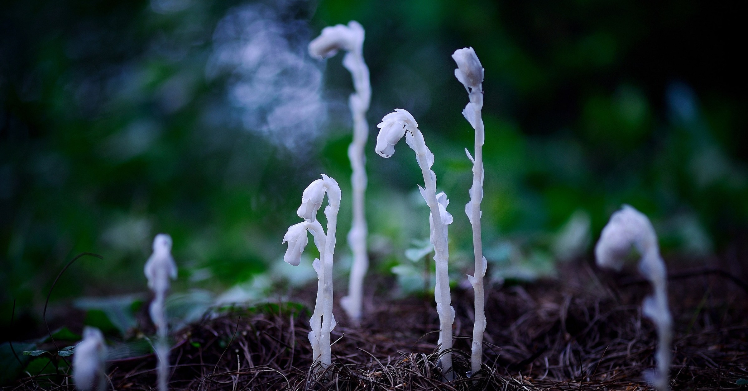 Unitree founder Wang Xingxing: A post-90s "robotics genius ...